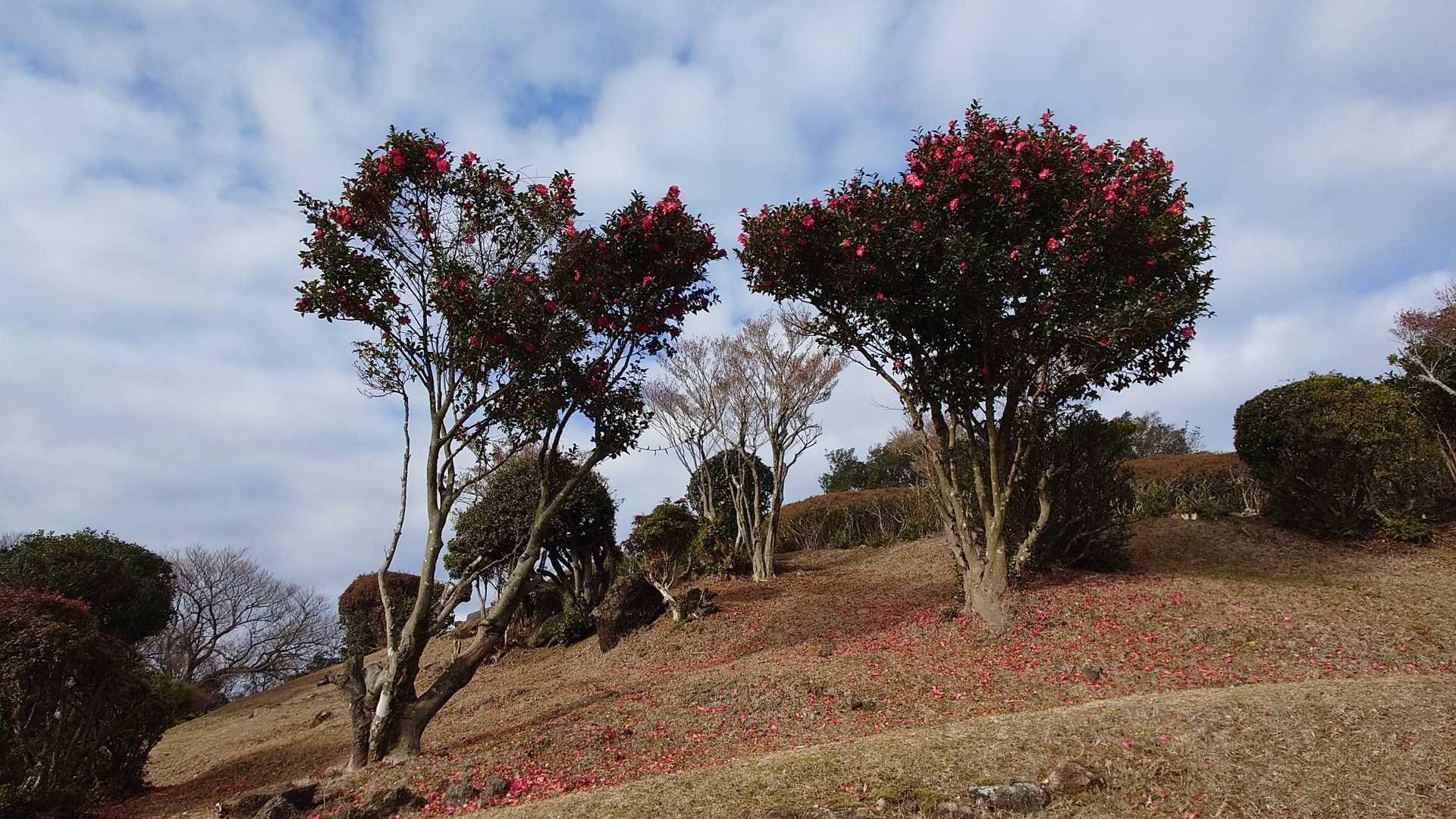 朝熊山（朝熊ヶ岳）・朝熊ヶ岳（南峰）・朝熊山・山上公苑 / べちをさんの朝熊ヶ岳（朝熊山）・鼓ヶ岳・鷲嶺（袴腰山）の活動データ | YAMAP ...