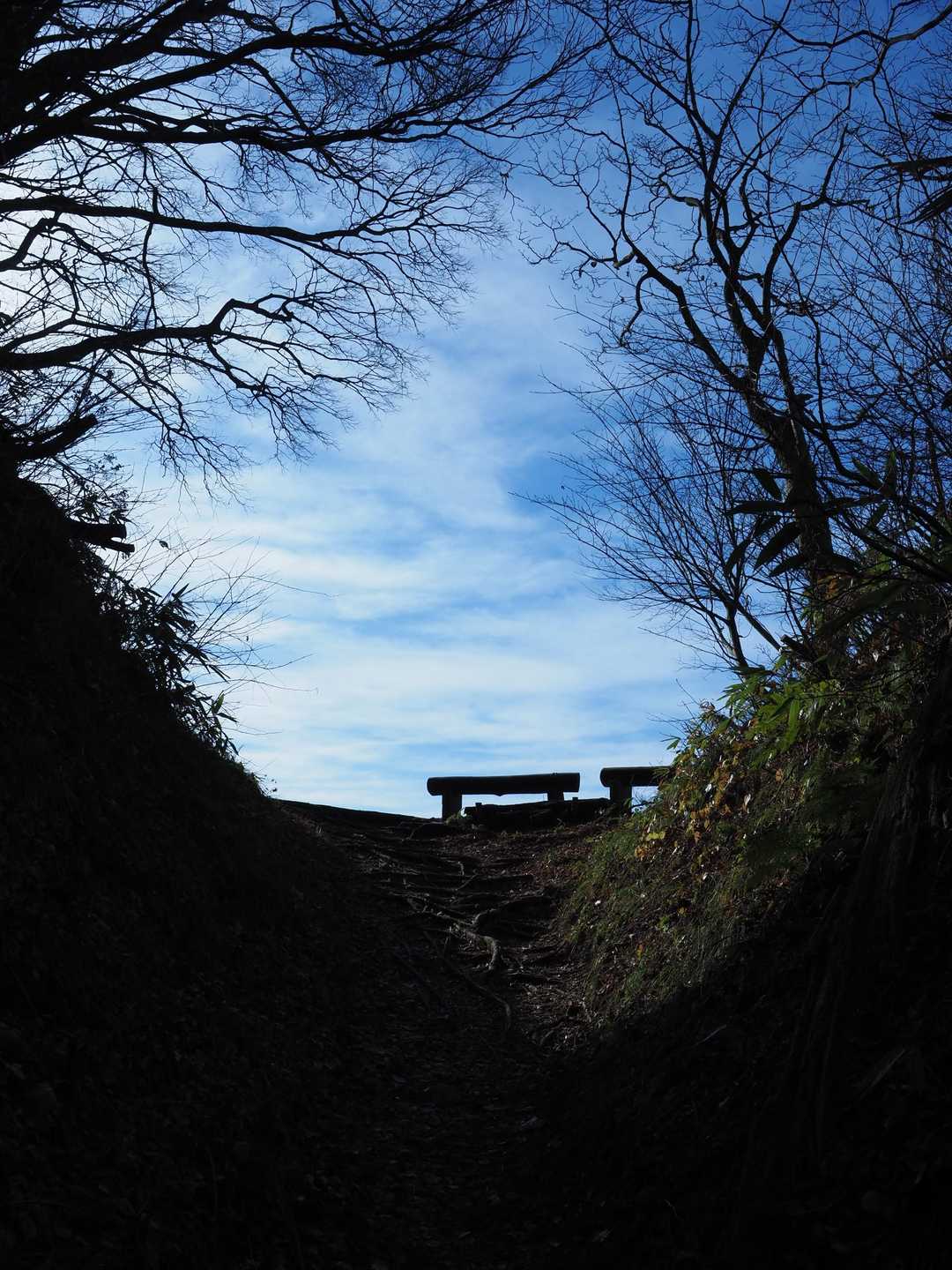三ノ峠山 / ふくろうさんの鋸山・三ノ峠山・八方台の活動データ | YAMAP / ヤマップ