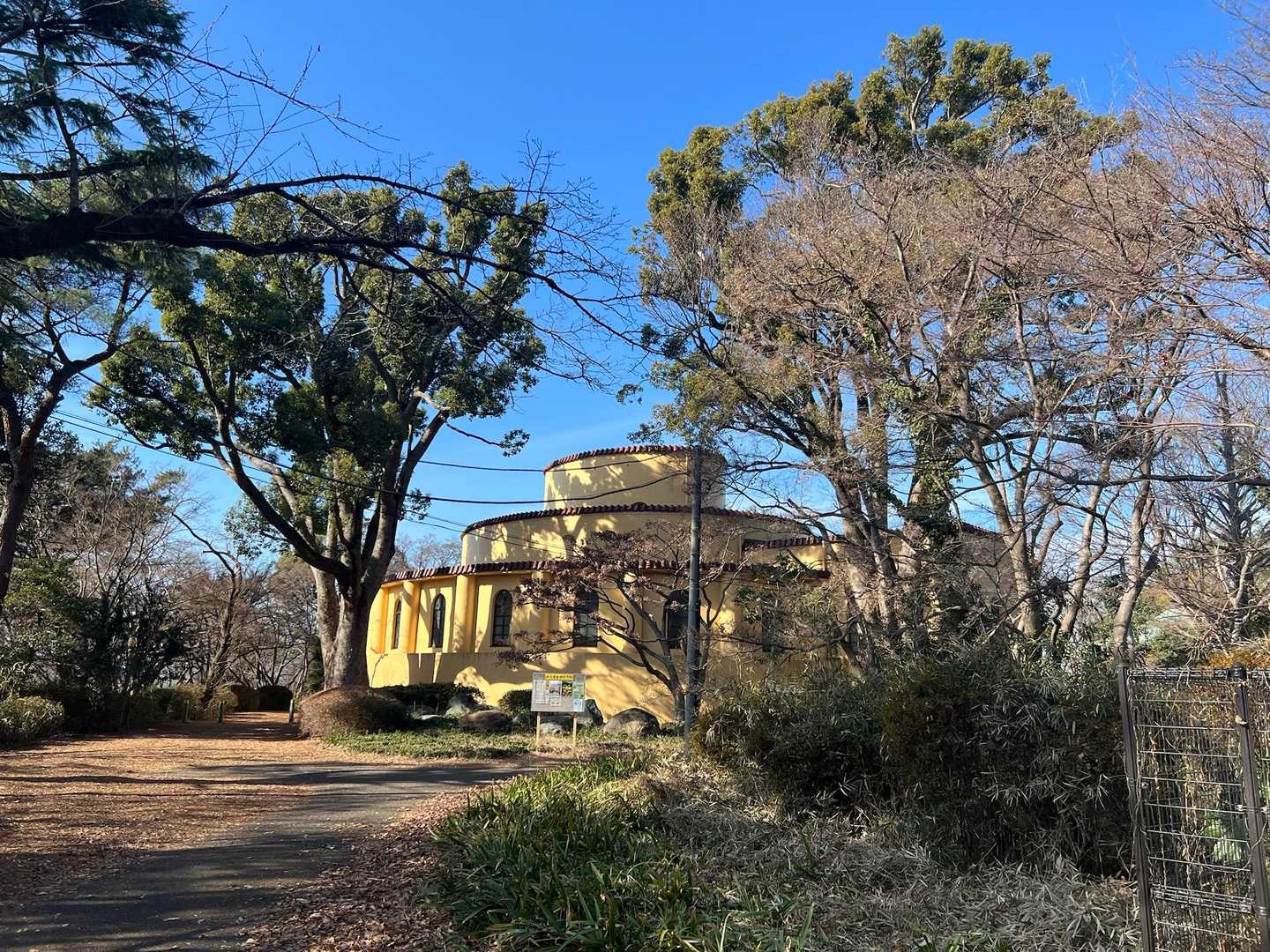 年の瀬桜ヶ丘公園散策 / 吉村 祥吾さんの鶴見川流域ウォーキングMAP（尾根歩き編）の活動データ | YAMAP / ヤマップ