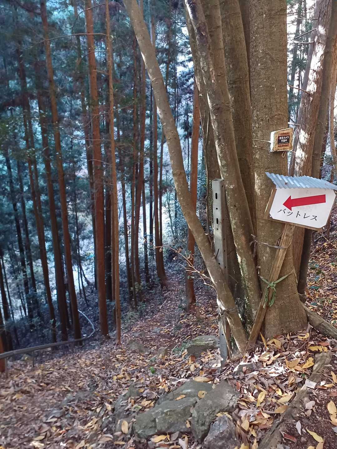 越沢バットレス💥アルペンコース☀ / spesさんの御岳山 下山メシ聖地巡礼マップ#1の活動データ | YAMAP / ヤマップ