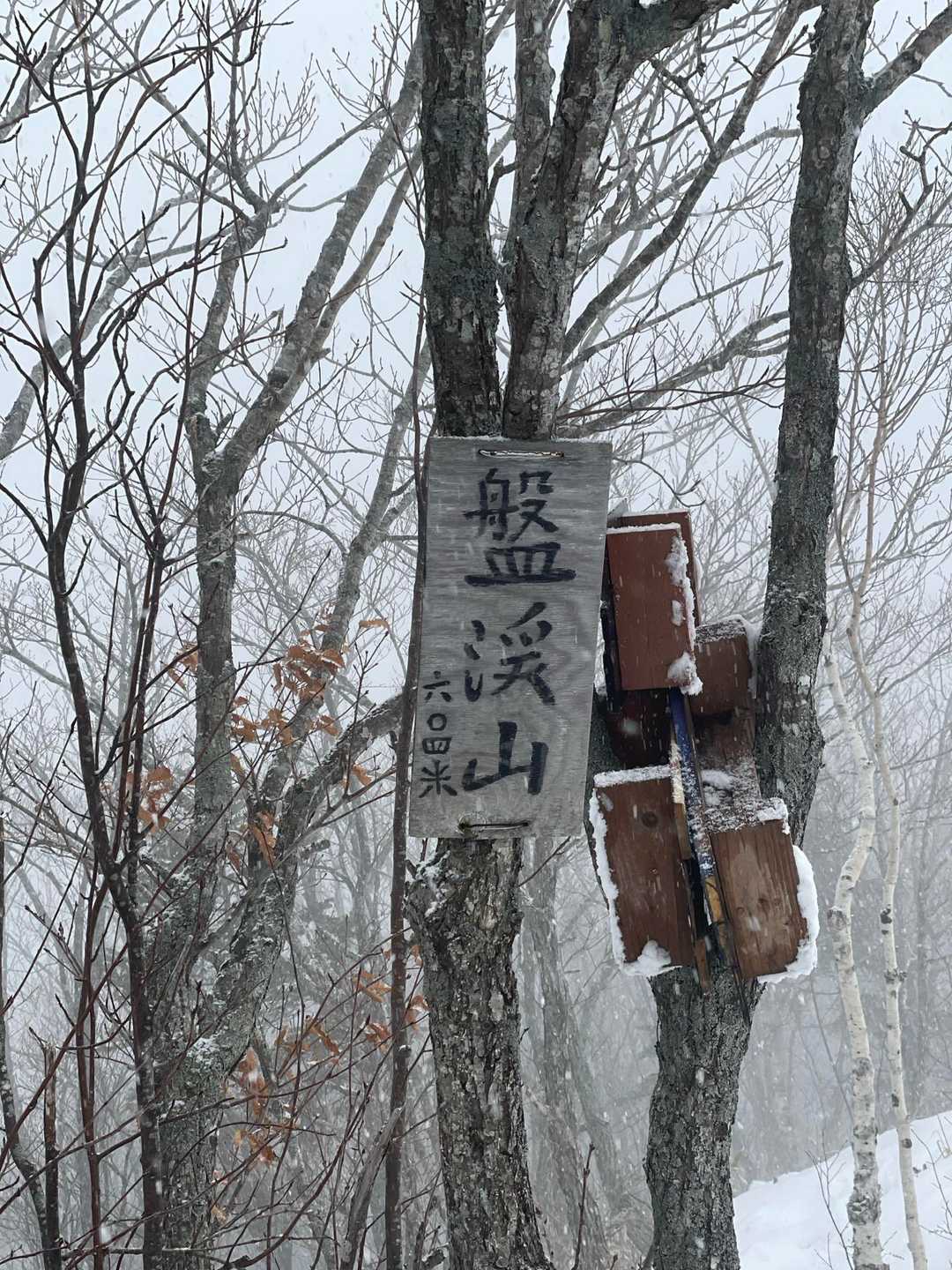 盤渓山 2025-12-30 / absenteさんの砥石山・青山の活動データ | YAMAP / ヤマップ