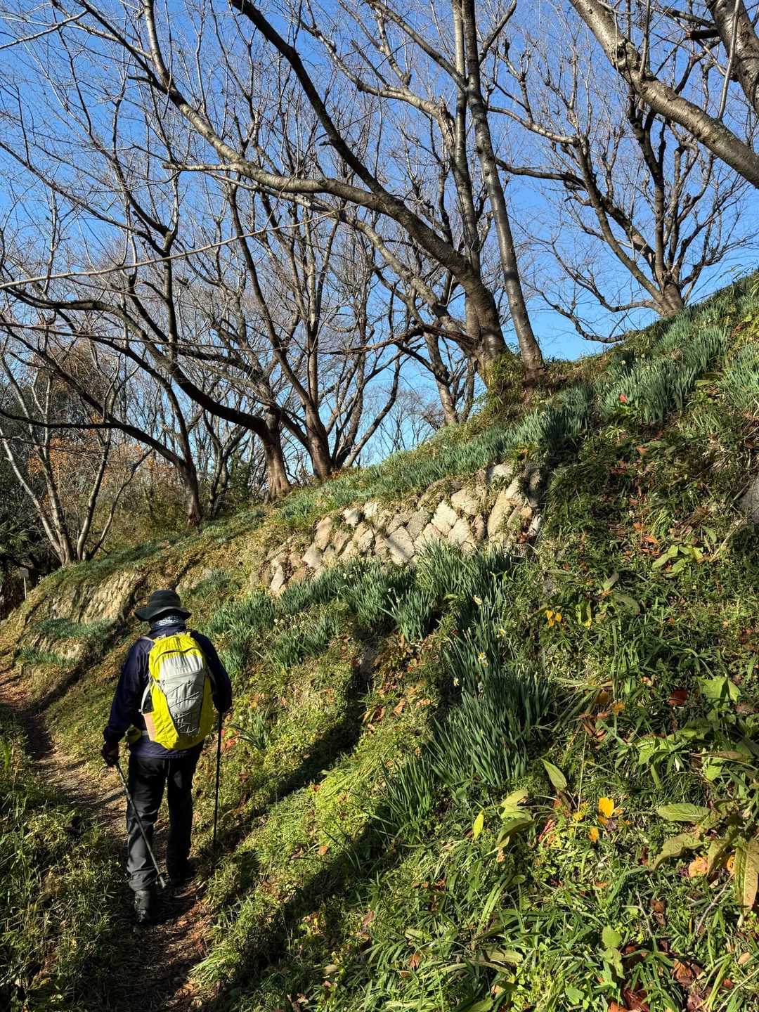 生駒山・神津嶽・大原山-2025-12-23 / pecoさんの生駒山・神津嶽・大原山の活動データ | YAMAP / ヤマップ