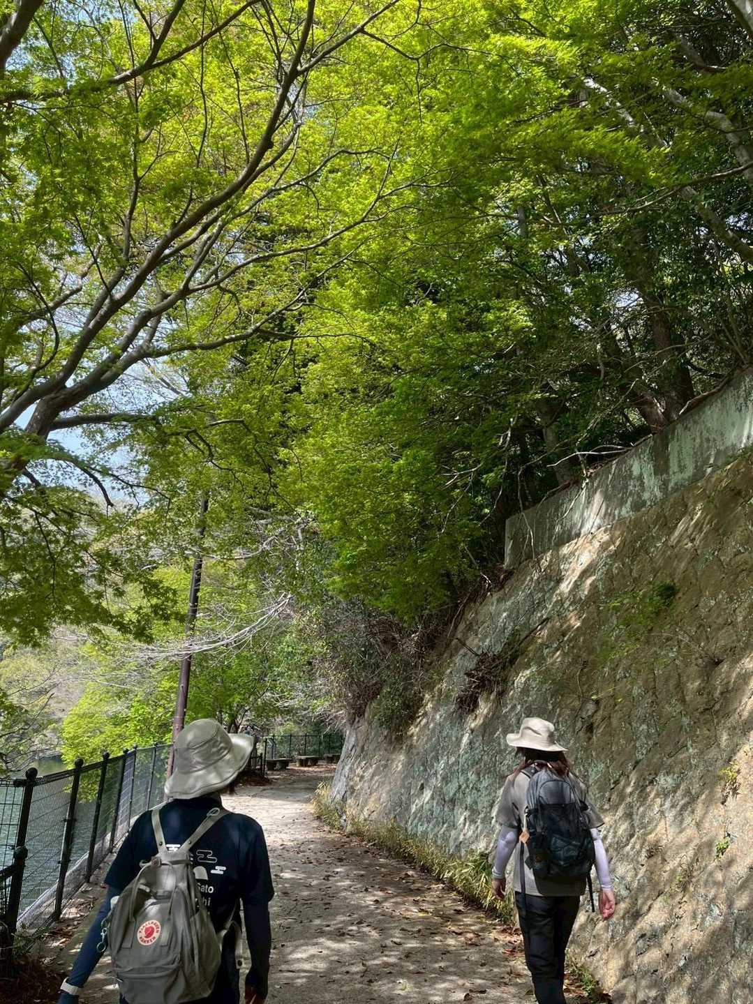 布引の滝・再度山 / chiyuさんの丹生山・帝釈山・シビレ山の活動データ | YAMAP / ヤマップ