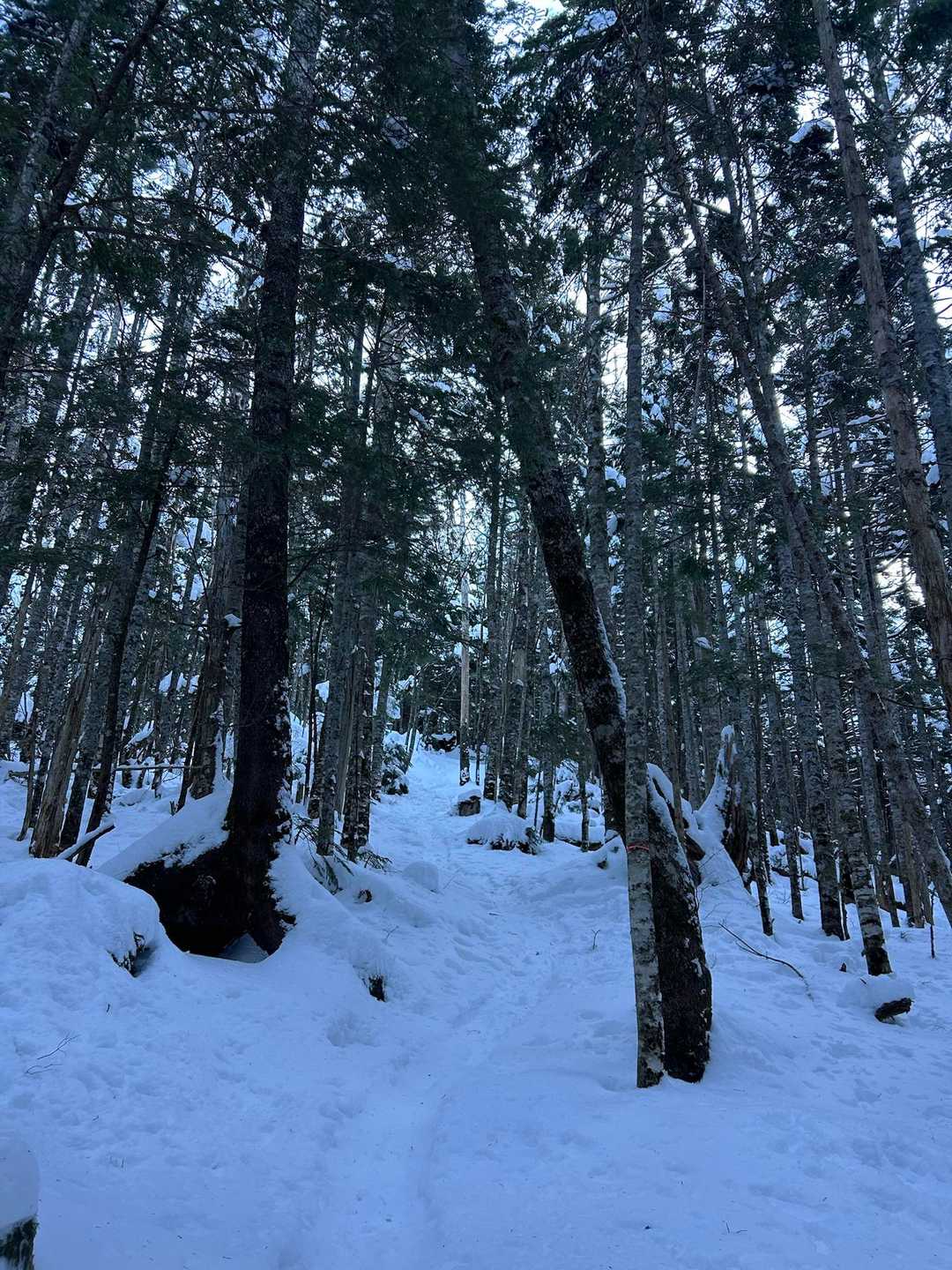 摩利支天山 散歩 / ロクさんの御嶽山・継子岳・摩利支天山の活動データ | YAMAP / ヤマップ