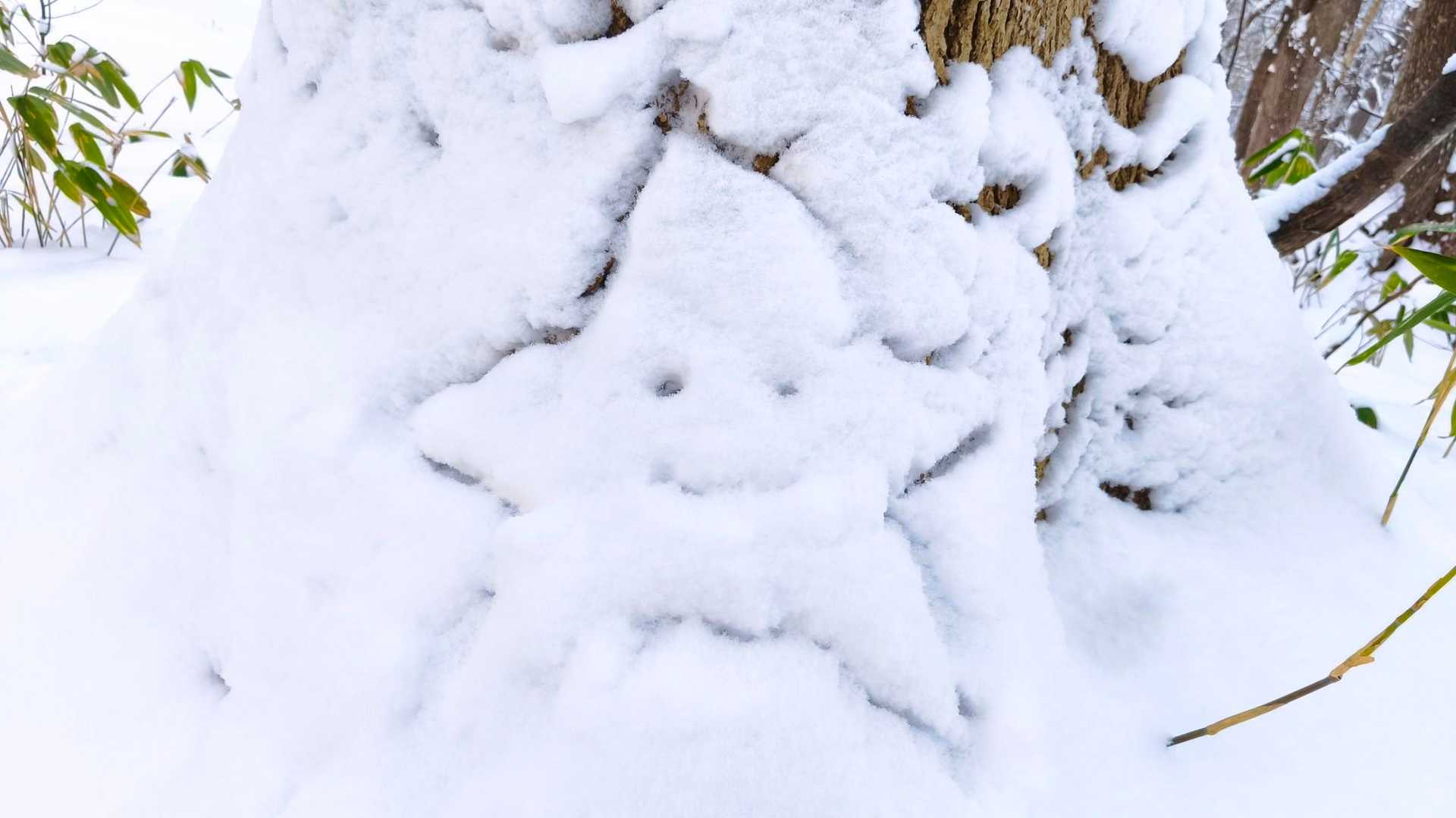 円山 お正月感が少ないな。 / Qさんの三角山・大倉山・円山の活動データ | YAMAP / ヤマップ