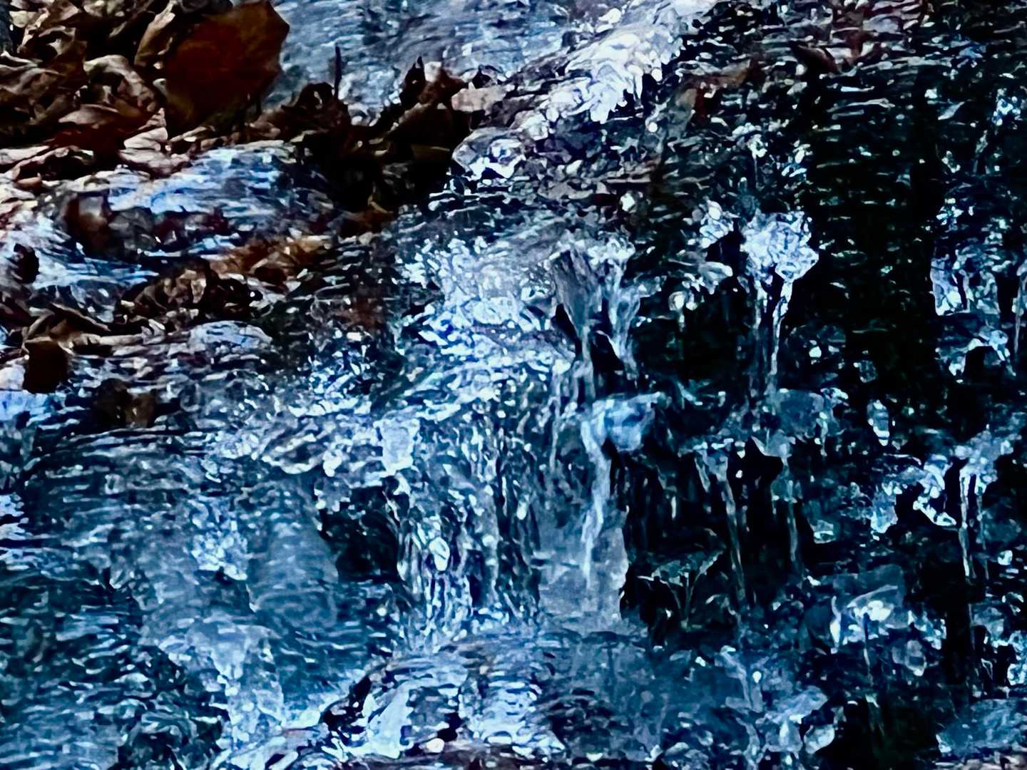 雨乞岩で勝手にガイド🤣 武甲山-小持山-大持山 / ⛰bow🏕️さんの武甲山・伊豆ヶ岳・小持山の活動データ | YAMAP / ヤマップ