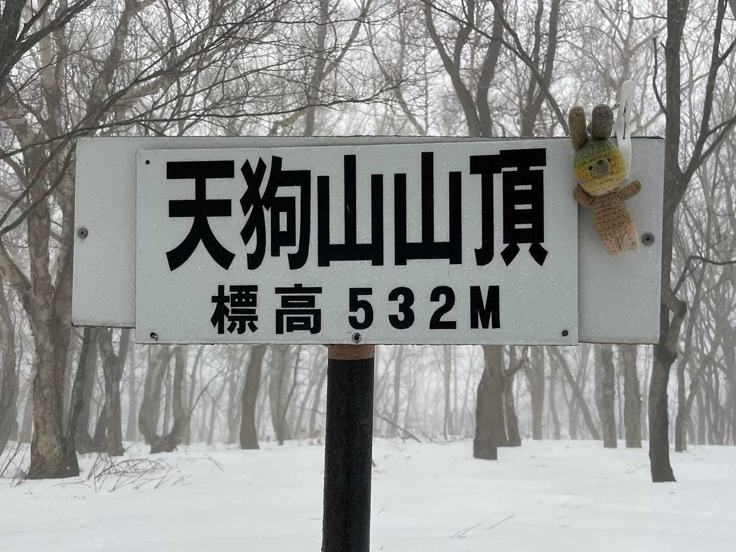 小樽天狗山[243]2025-12-21 / やっくさんの塩谷丸山・於古発山の活動データ | YAMAP / ヤマップ