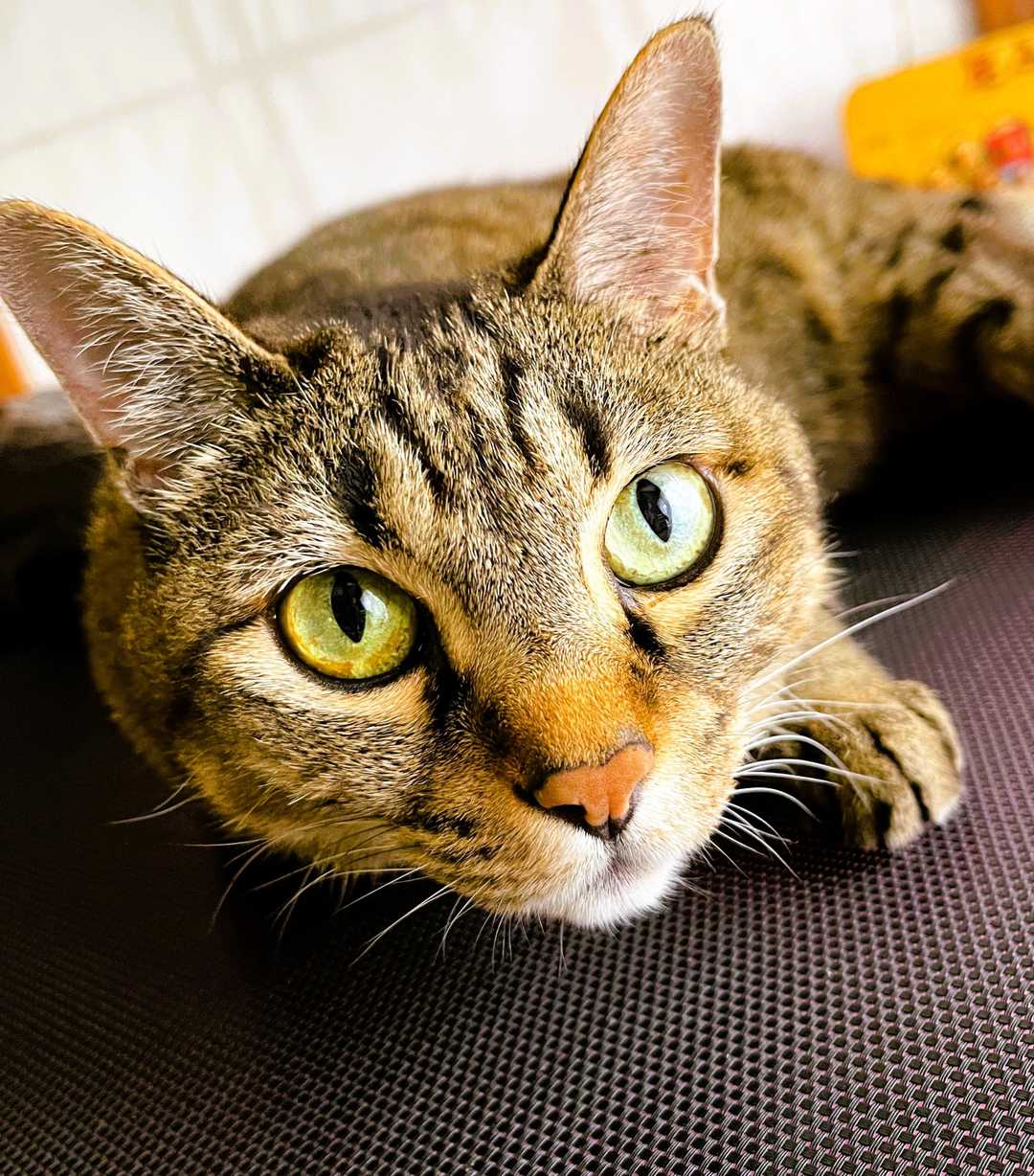 [以東岳避難小屋管理人]やはりこの山はタキタロウとダイエット（4.1kg減）を語らずにはいられない☆彡 / こずなぎ[kozunagi ...