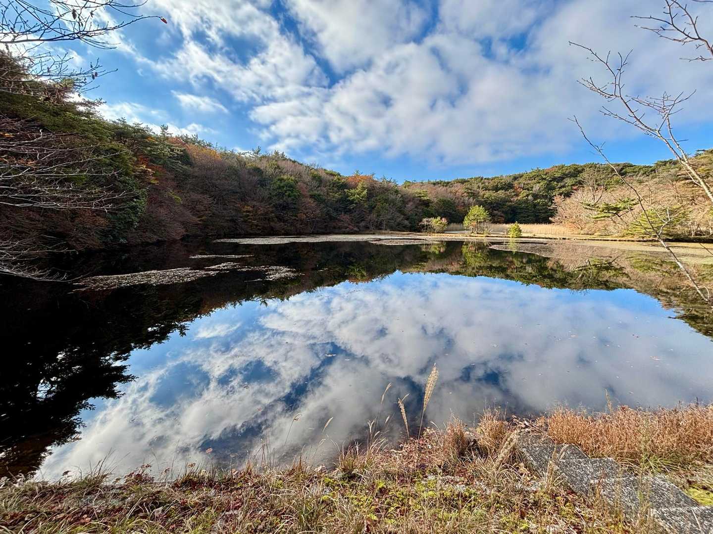 晩秋の作礼山で人生⤴️⤴️ / スピカ⭐️さんの天山の活動データ | YAMAP / ヤマップ