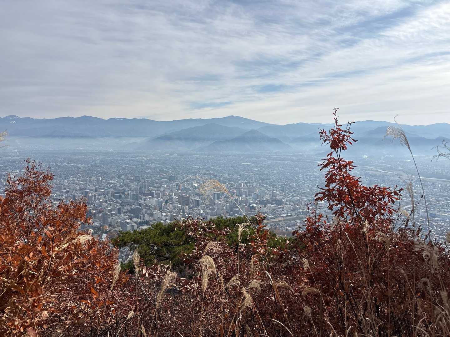 9回目の山旅 #旭山 / shota_climbさんの旭山の活動データ | YAMAP / ヤマップ