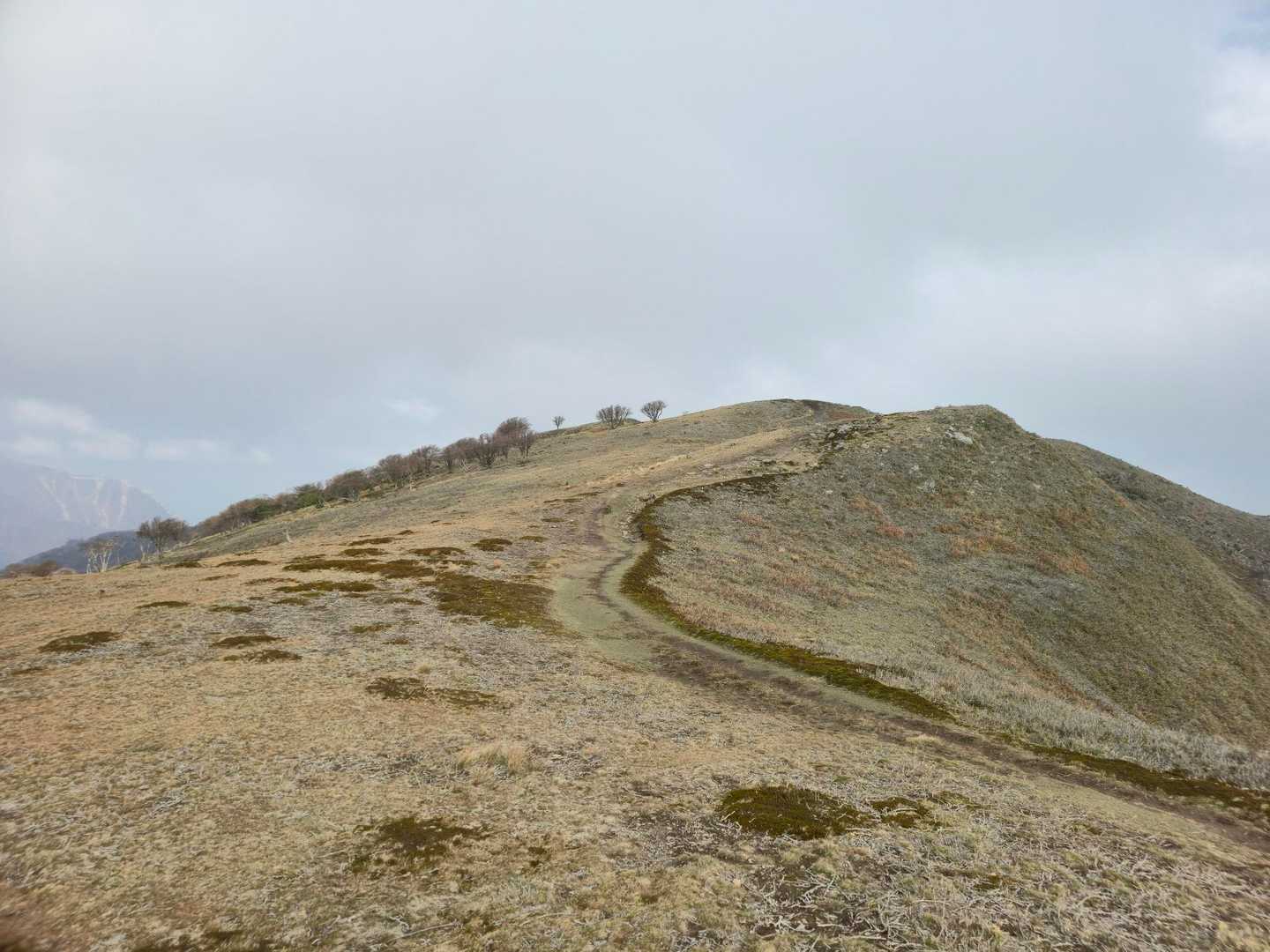 鈴鹿セブンその1 竜ヶ岳 / どんぐりさんの竜ヶ岳の活動データ | YAMAP / ヤマップ