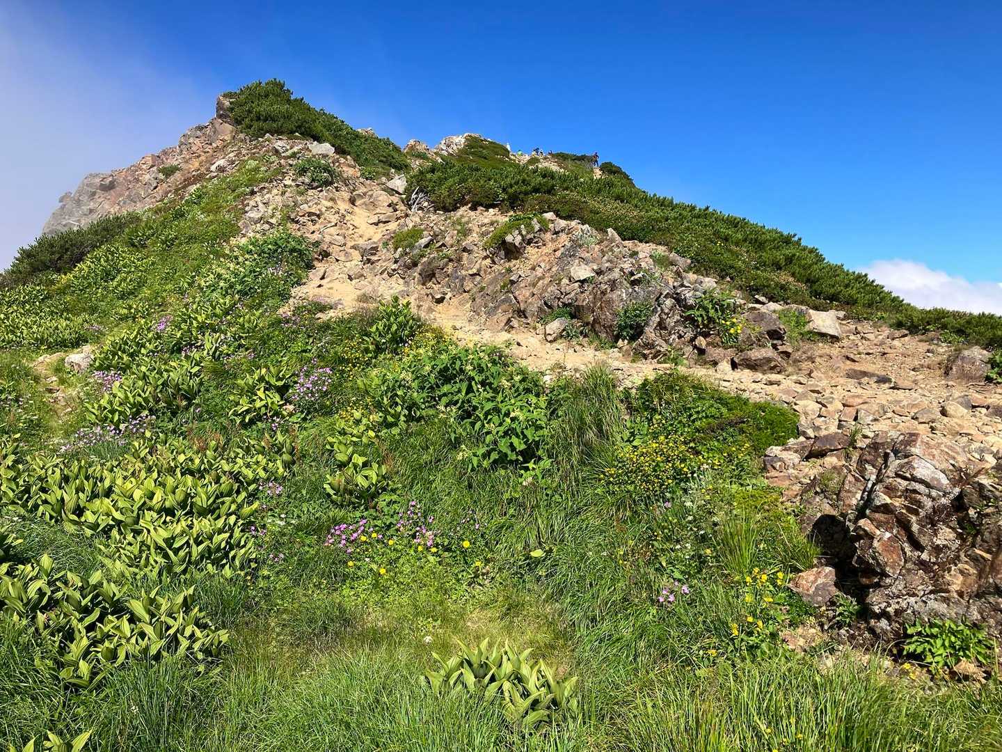 💯白馬岳（蓮華温泉登山口） / YUKIZARU。さんの白馬岳・小蓮華山の活動データ | YAMAP / ヤマップ
