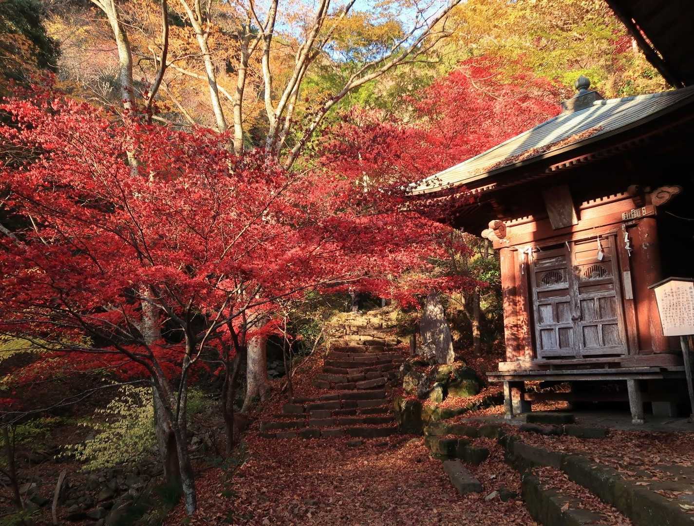 大山 / NAGIOさんの大山の活動データ | YAMAP / ヤマップ