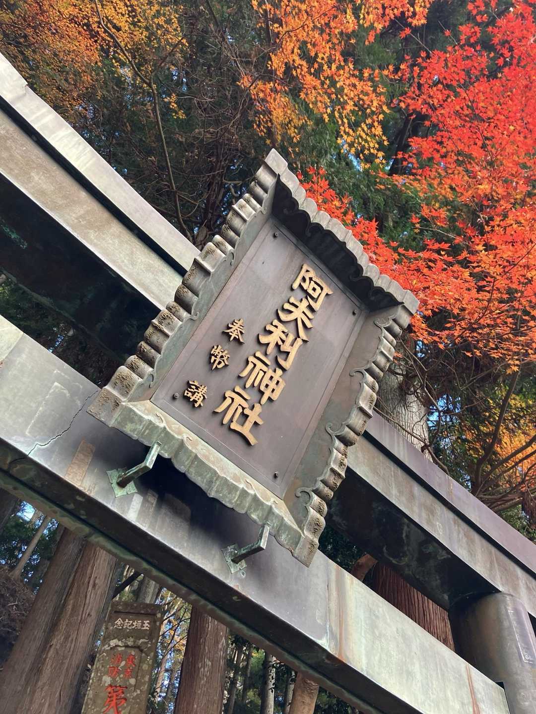 神奈川 大山の紅葉 / しげさんの大山の活動データ | YAMAP / ヤマップ