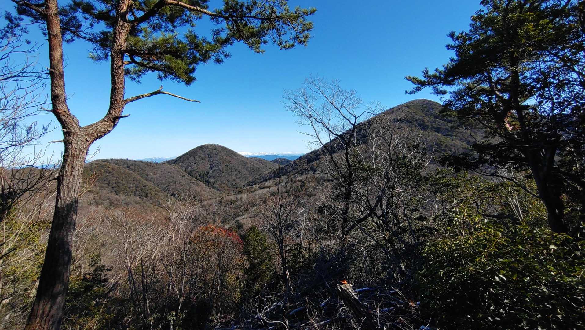 👹蛇ヶ岳〜奥鬼山〜せせらぎコース / あんちゃん さんの鬼ヶ岳の活動データ | YAMAP / ヤマップ