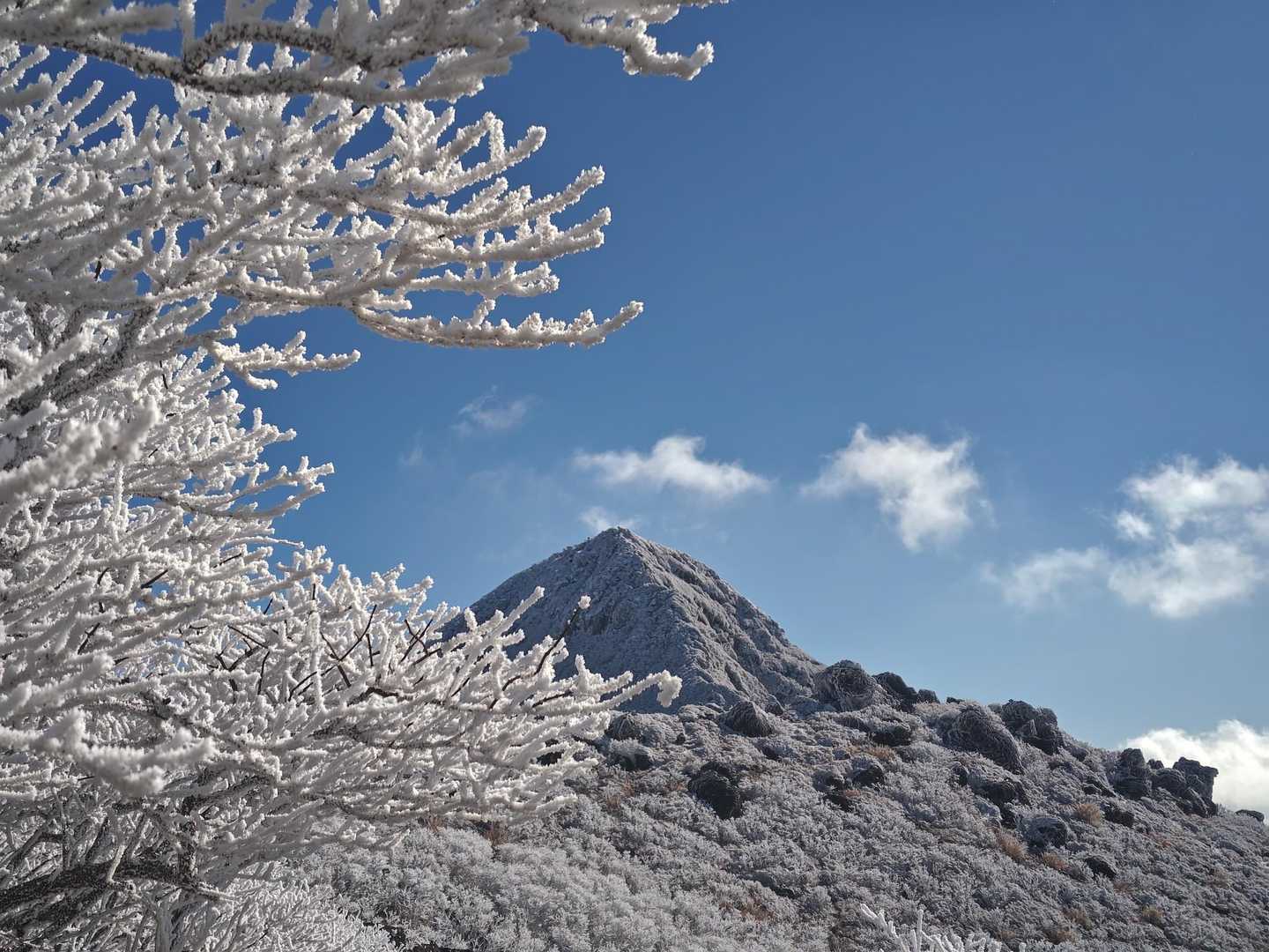 White 九重⛄️ / TOMOさんの九重山（久住山）・大船山・星生山の活動データ | YAMAP / ヤマップ