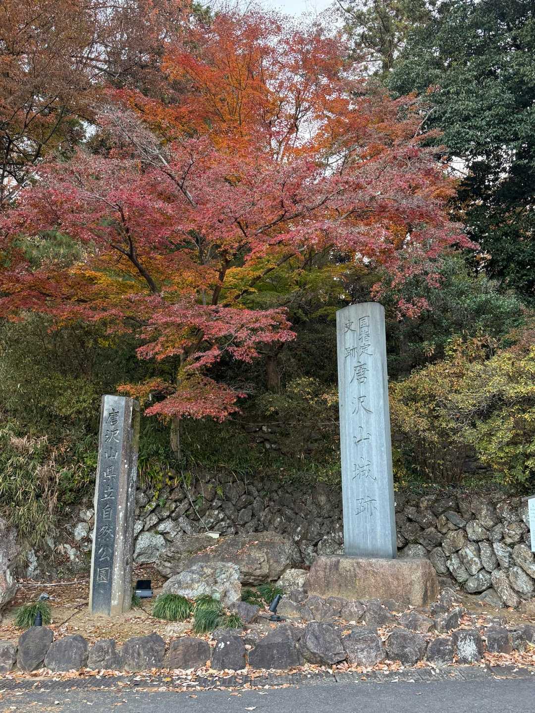 唐沢山・高鳥屋山・大櫃鳥屋・椿山・柃山・貝吹鳥屋・南見明岳・北見明岳・京路戸とんび山・妹背山・諏訪岳 / たくおさんの太平山・晃石山・唐沢山の活動データ | YAMAP / ヤマップ
