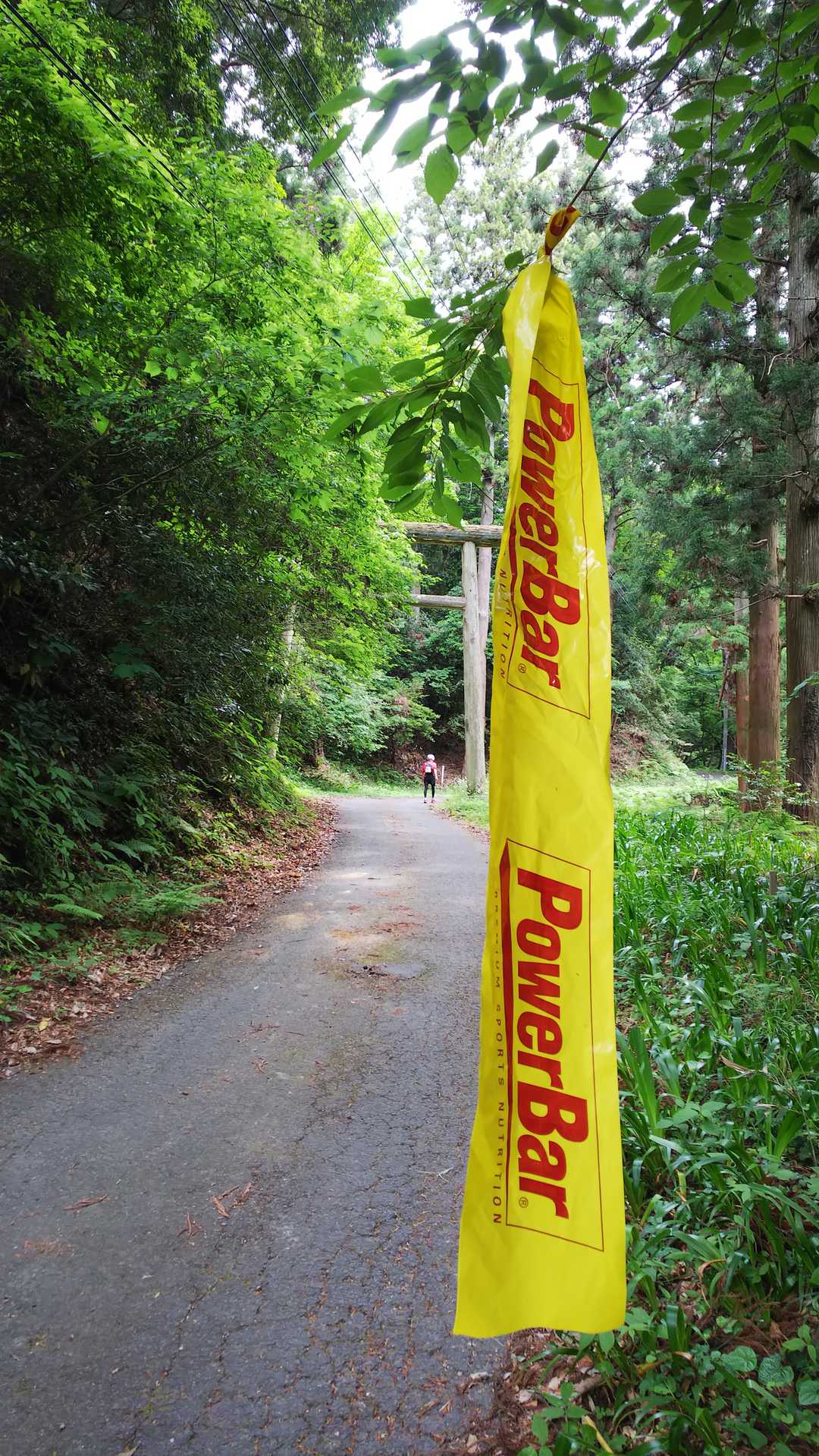 OSJ奥久慈トレイルレース30K / mororonさんの奥久慈男体山・月居山・篭岩（篭岩山）（常陸国ロングトレイル）の活動データ ...