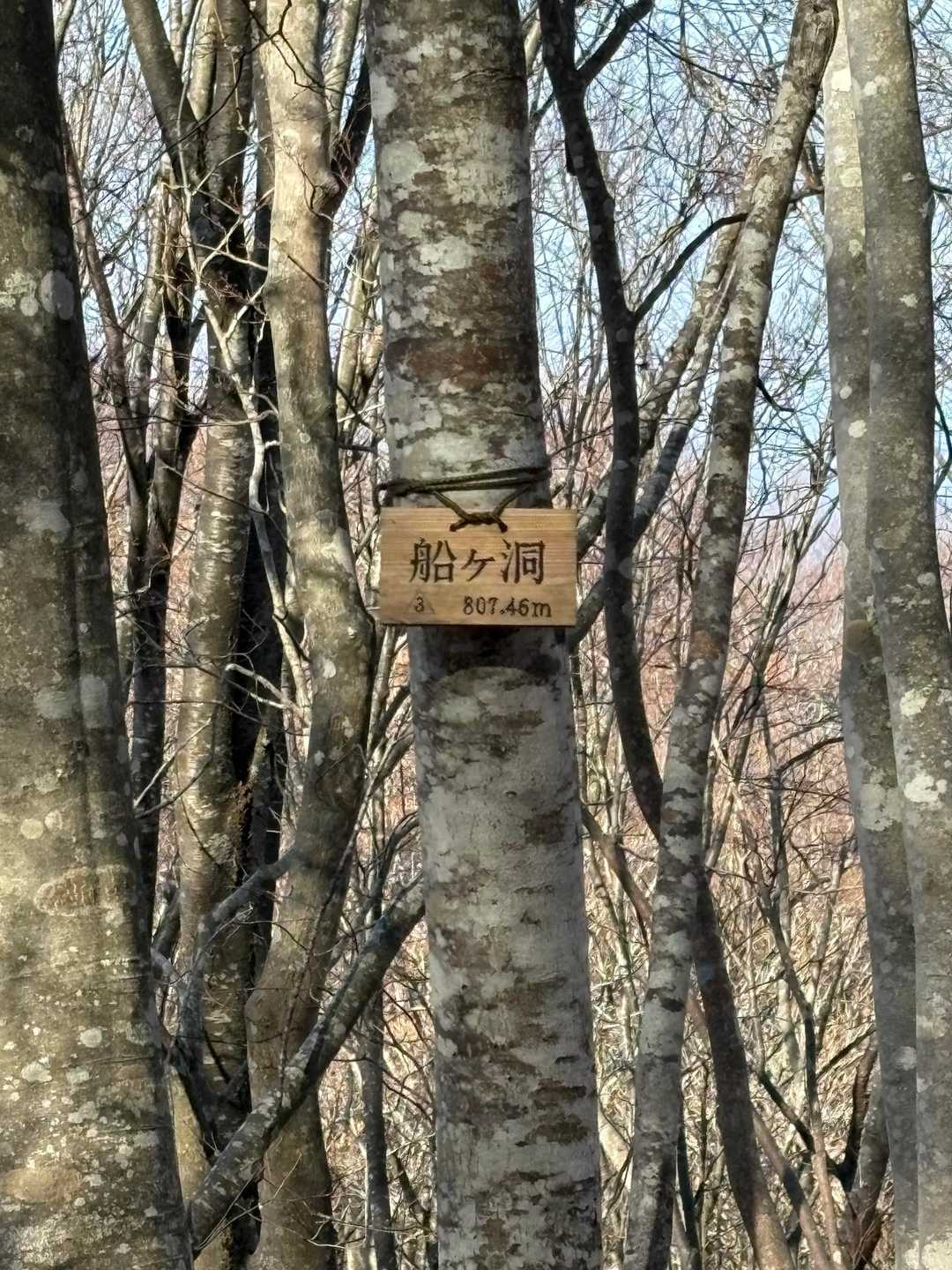 船ヶ洞山 / tfunatsu さんの下谷山・音波山の活動データ | YAMAP / ヤマップ