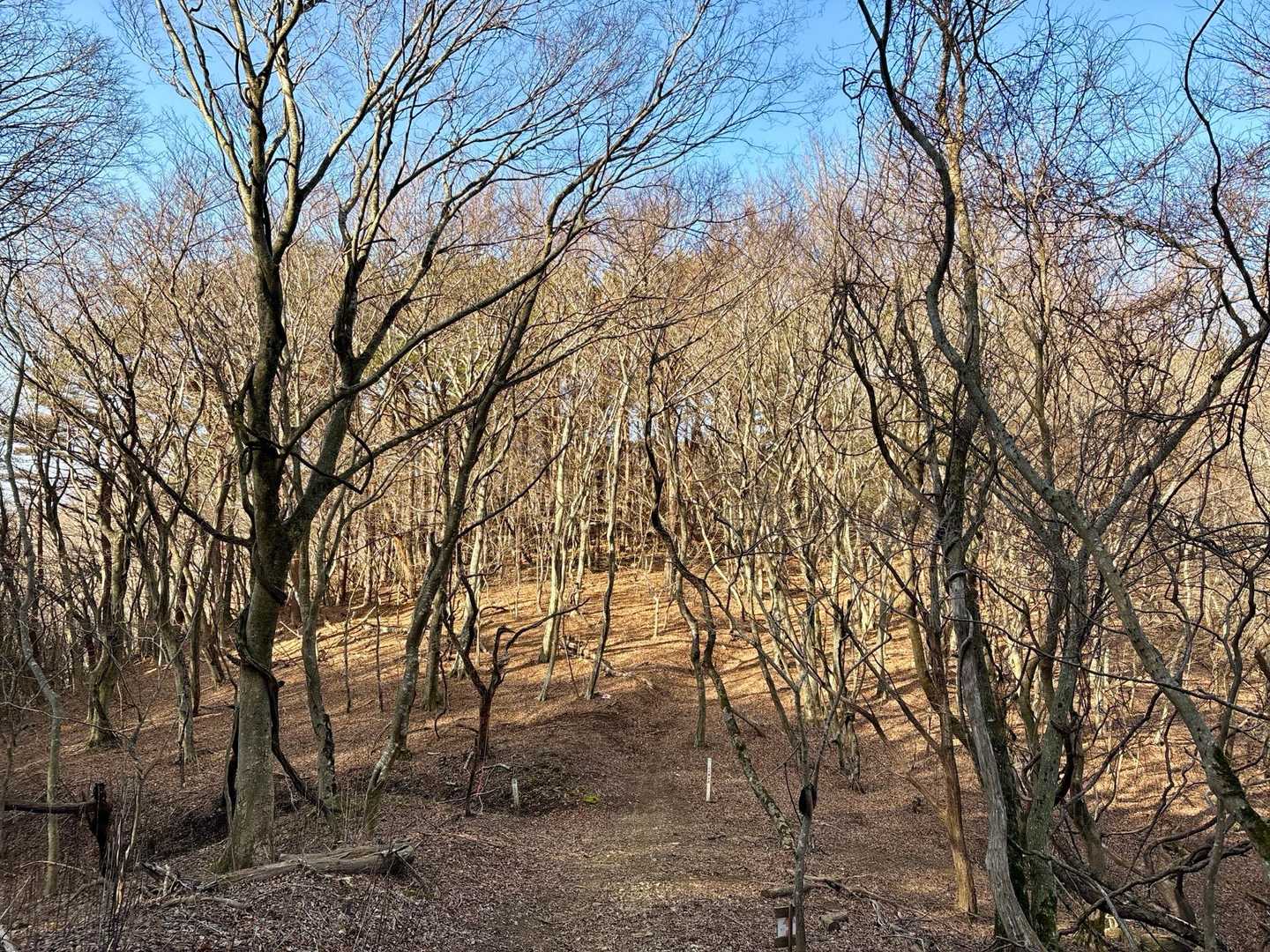 水沼山 / hiroさんの登山の活動データ | YAMAP / ヤマップ