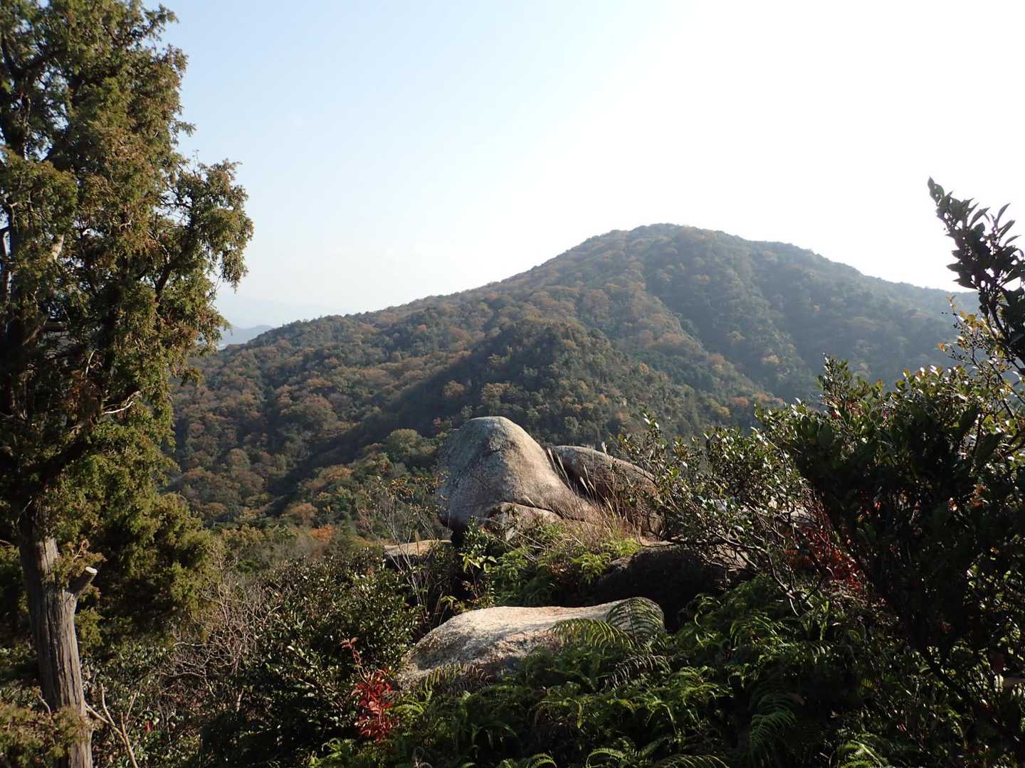 時計回りに亀尾山（大海山） / ふーさんさんの大海山（亀尾山）・勘十郎岳・福西山の活動データ | YAMAP / ヤマップ