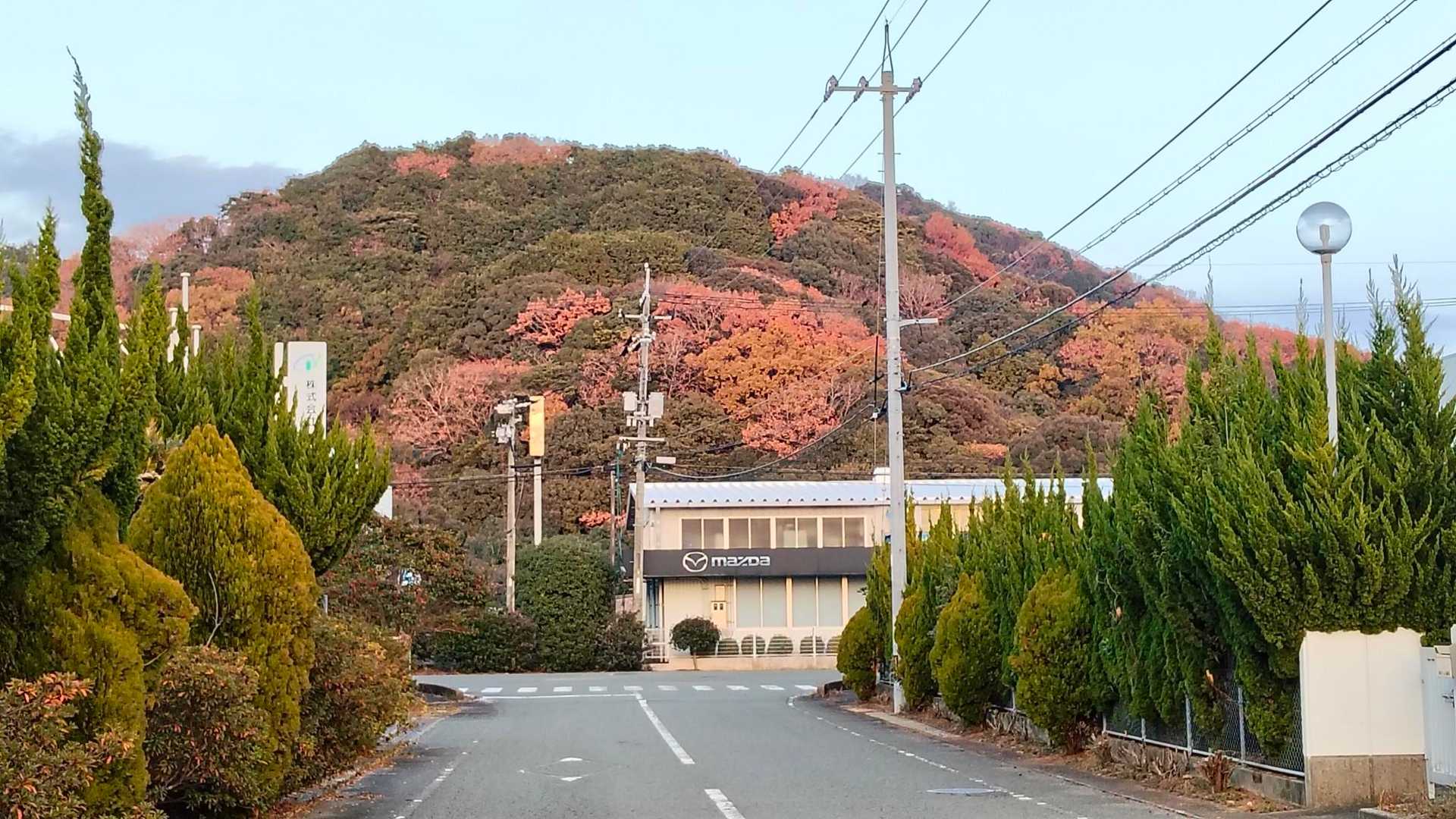 高場山 (山口市) / senbu2(センブツ)さんの金山の活動データ | YAMAP / ヤマップ