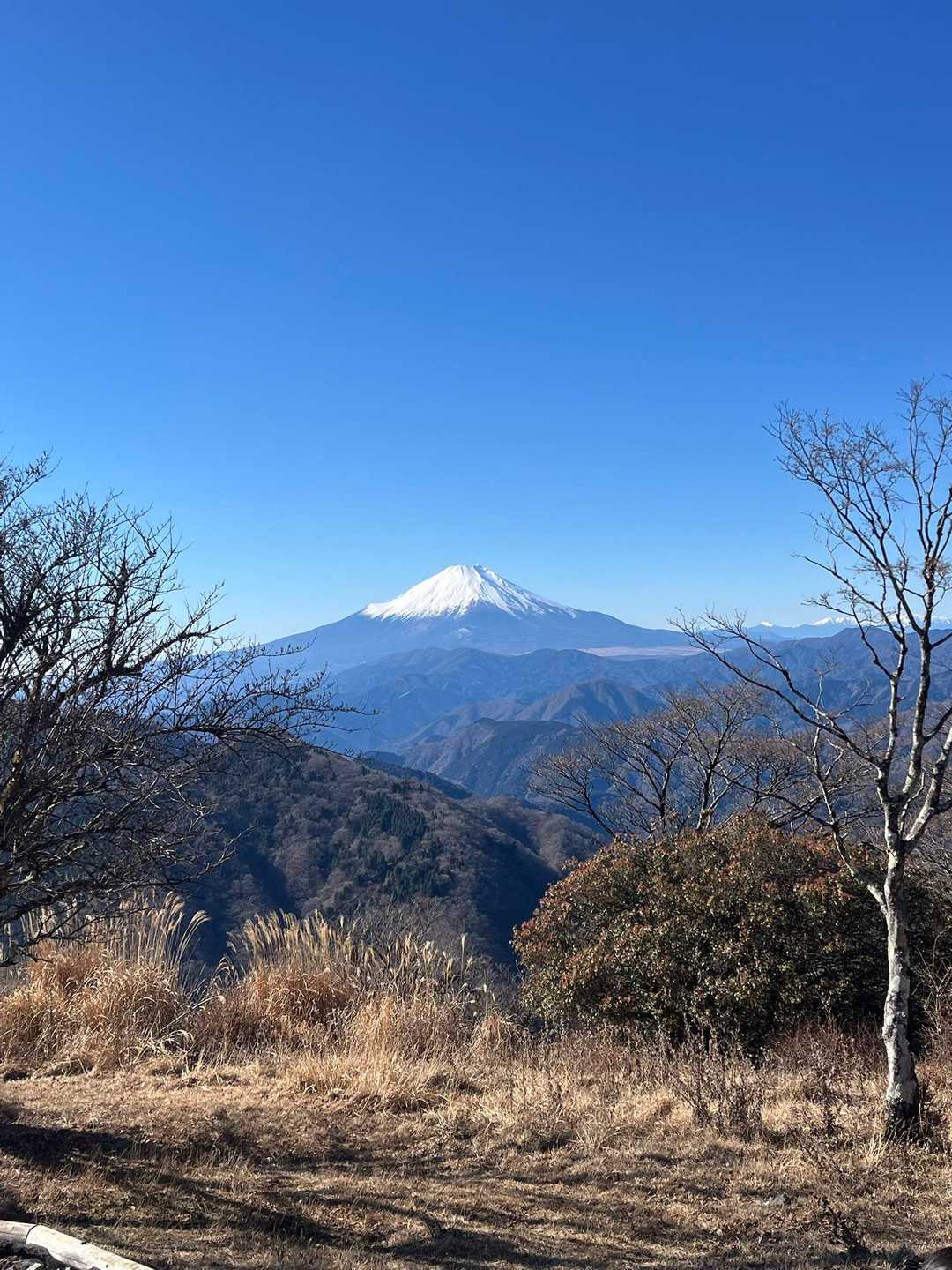 鍋割山 / G.Loveさんの塔ノ岳・丹沢山・蛭ヶ岳の活動データ | YAMAP / ヤマップ