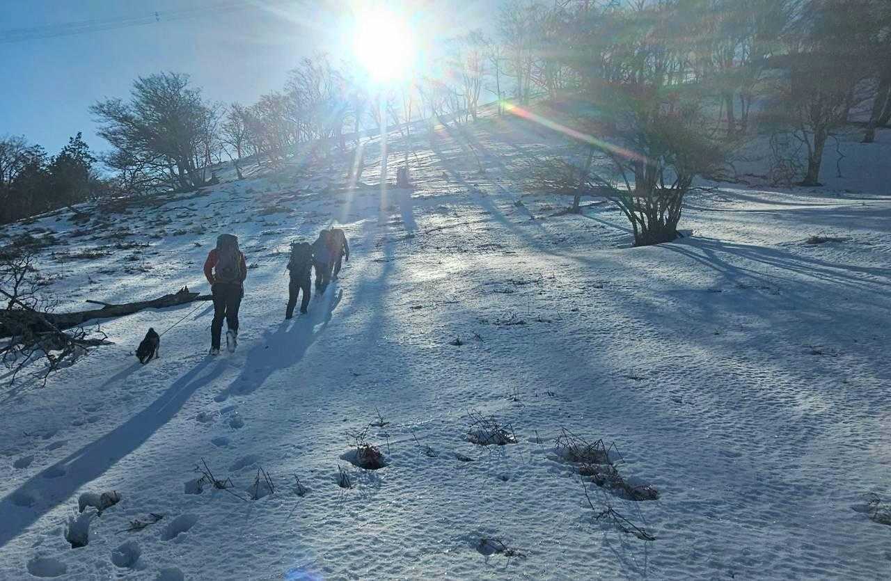 子向井山・頭陀ヶ平・天狗岩 / あるむの山のおんじさんの藤原岳・御池岳の活動データ | YAMAP / ヤマップ