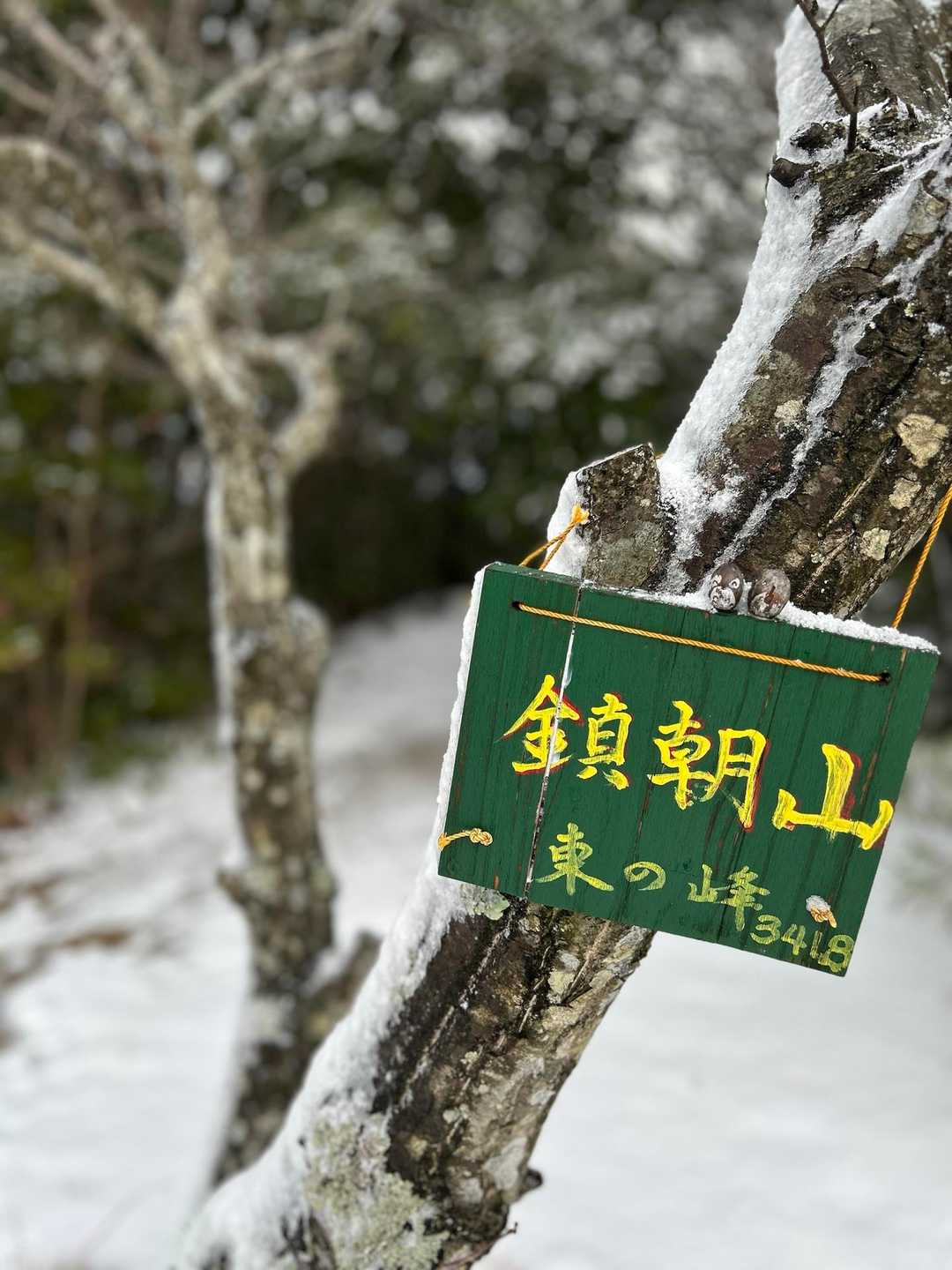 朝日山ᨒ𖡼.𖤣𖥧雪景色⸜ ️⸝ / Mocoさんの朝日山の活動データ | YAMAP / ヤマップ