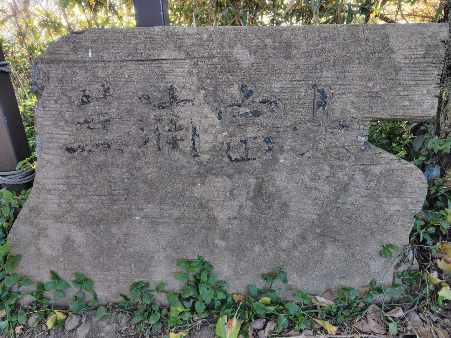 三浦富士・砲台山・武山 / マツキヨ444さんの大楠山・武山・三浦富士の活動データ | YAMAP / ヤマップ