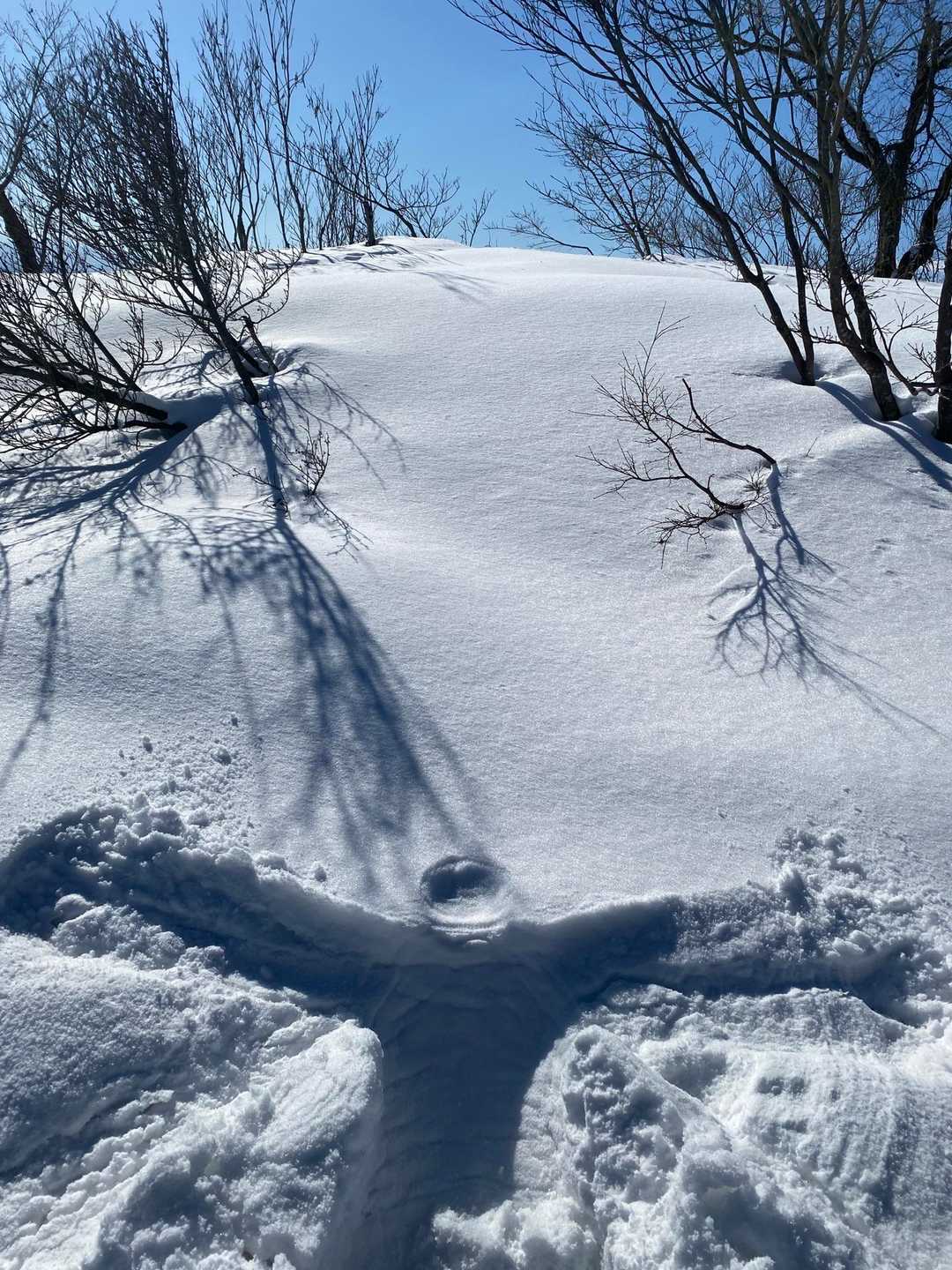 南条八石山（下八石山） / mtakoさんの守門岳・大岳・網張山の活動データ | YAMAP / ヤマップ