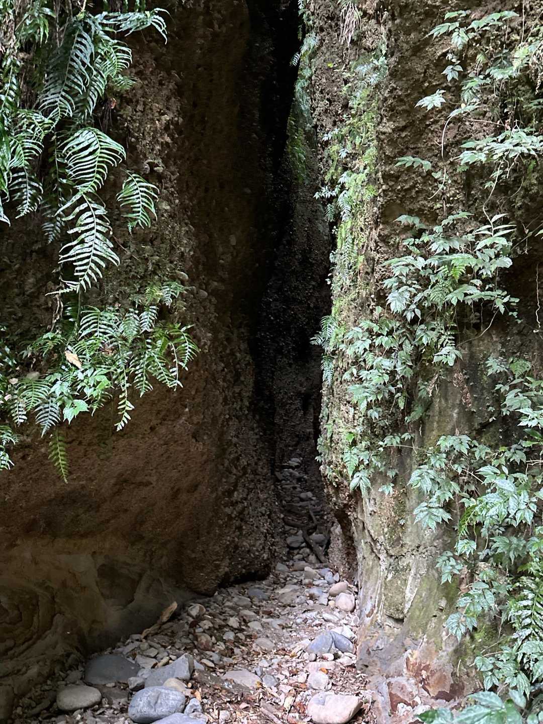 小笠山・三沢山・千手峰 / taka-iさんの小笠山の活動データ | YAMAP / ヤマップ
