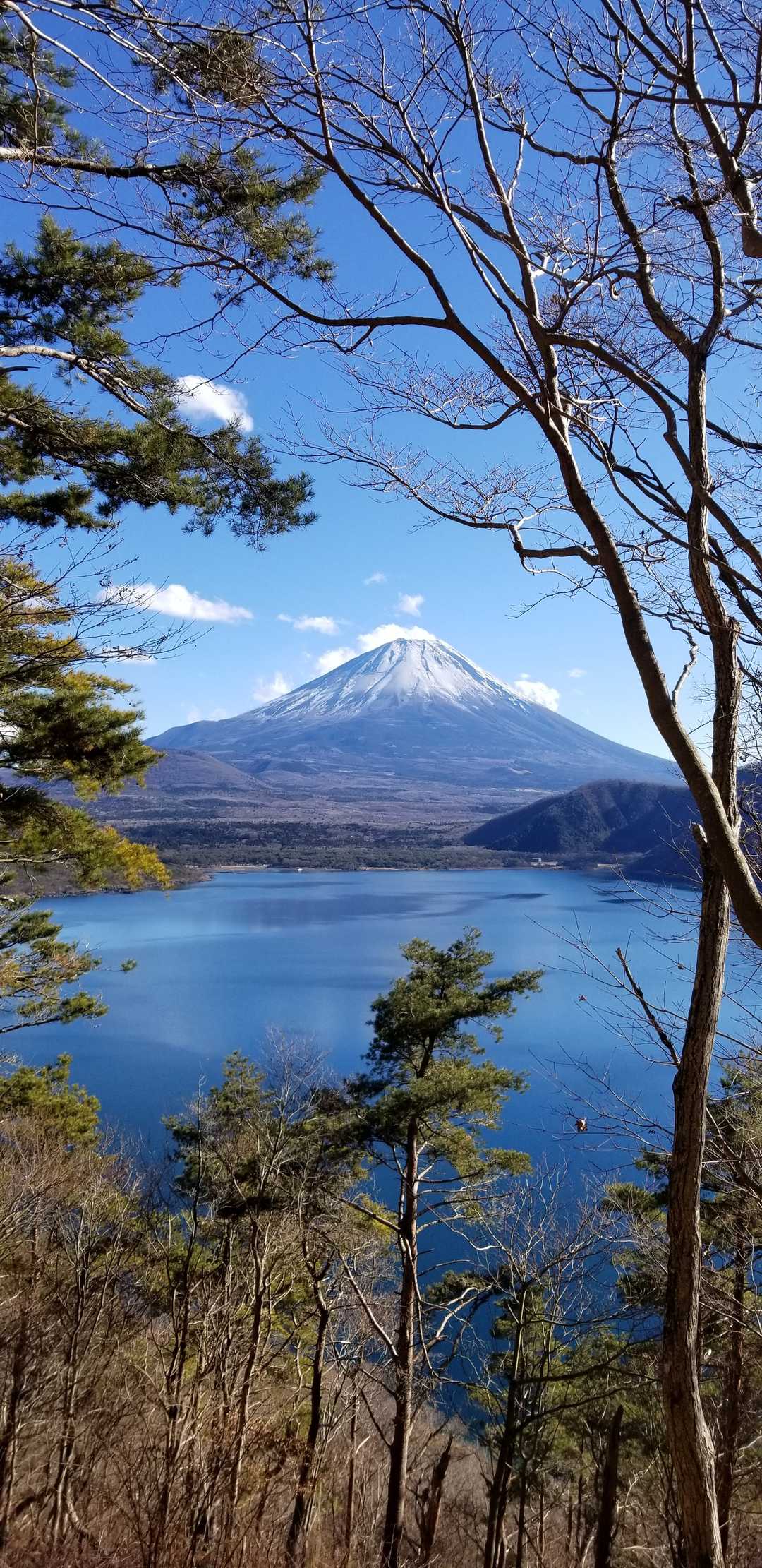 登り納め🗻☀️中之倉峠～パノラマ台 / takaさんの三方分山・パノラマ台の活動データ | YAMAP / ヤマップ