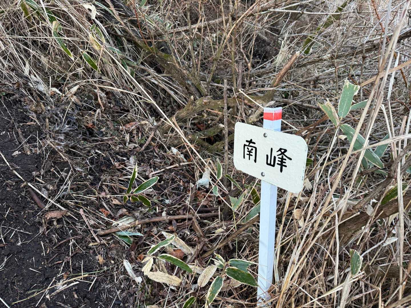 阿蘇山・高岳・根子岳-2026-01-10 / なつこさんの阿蘇山・高岳・根子岳の活動データ | YAMAP / ヤマップ