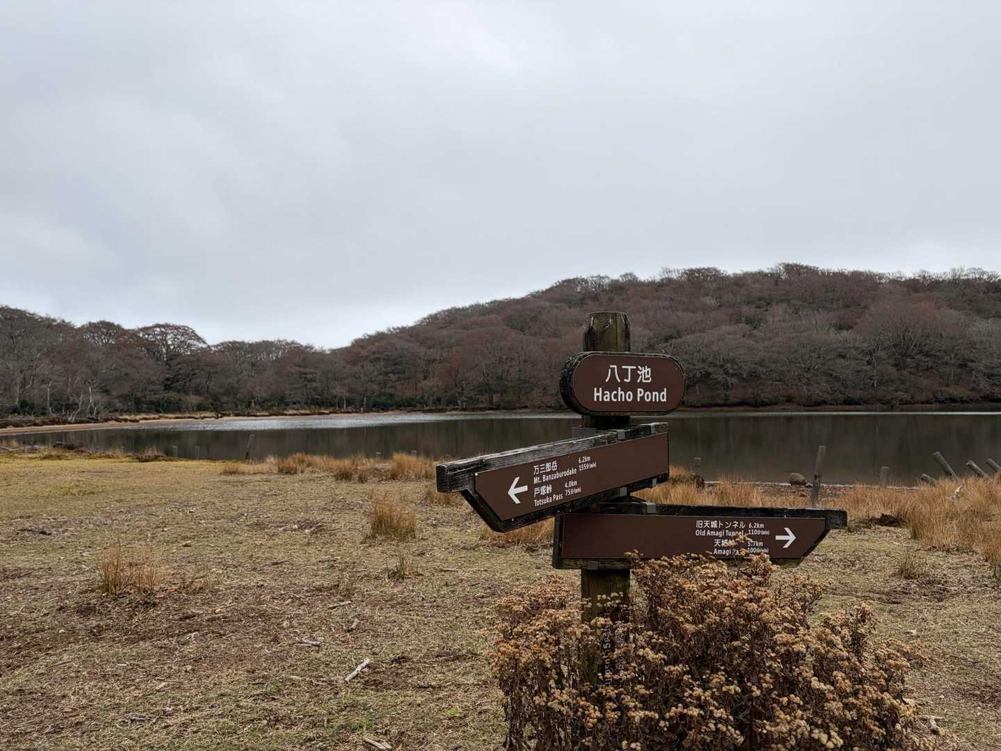 万二郎岳（天城山）・万三郎岳（天城山）・小岳 / SARAさんの天城山・鉢ノ山・三筋山の活動データ | YAMAP / ヤマップ