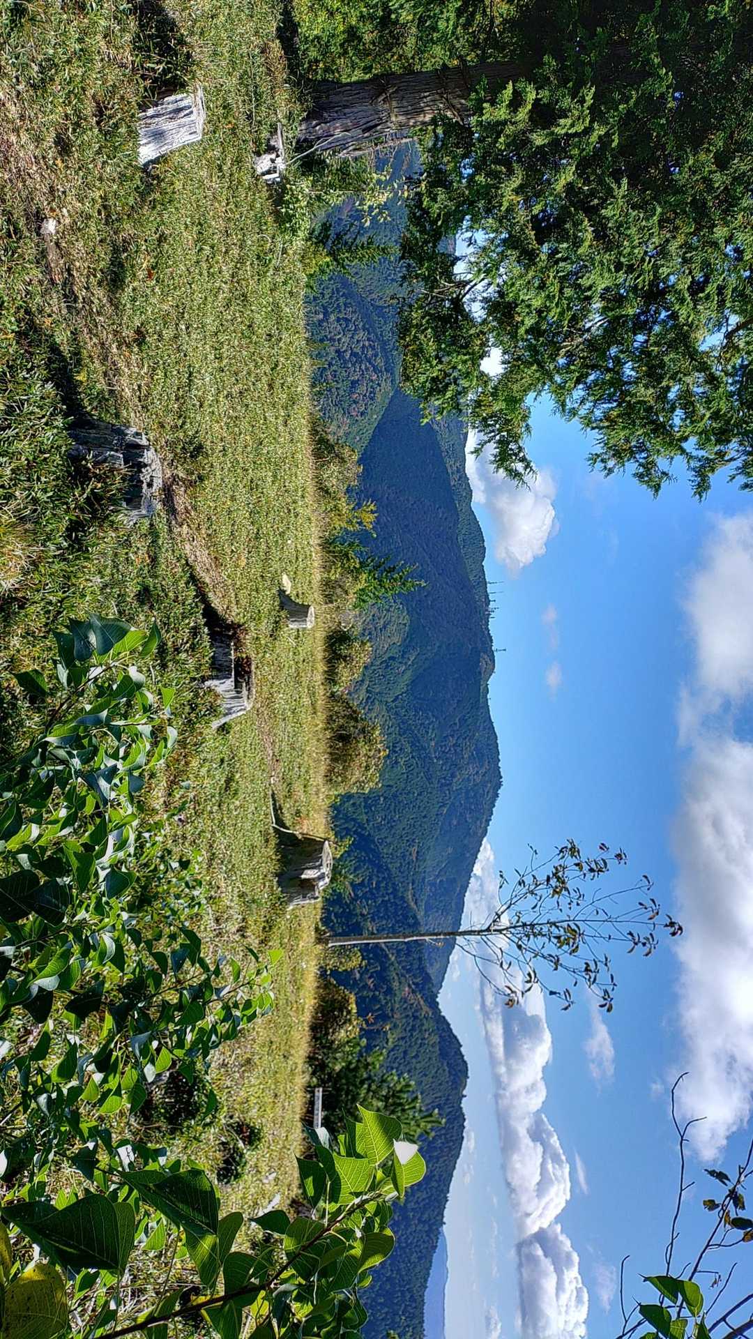 雨山山・屋床峰 / 山釣 三平さんの本宮山・大日山・風頭山の活動データ | YAMAP / ヤマップ
