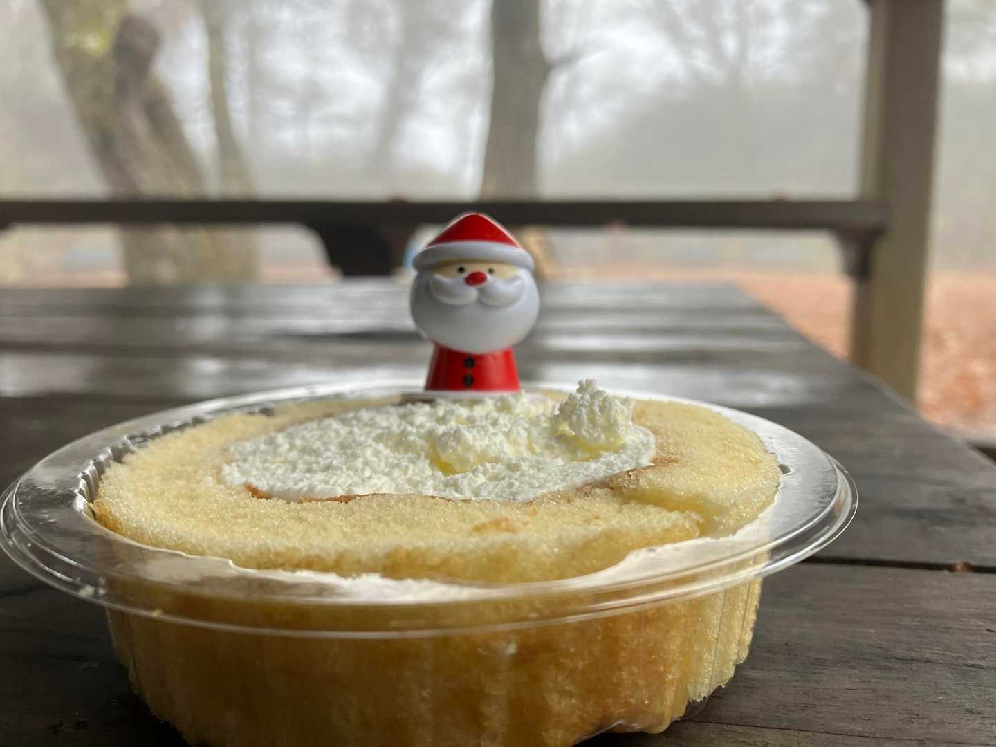 金剛山🌱 Merry Christmas🎄 （馬の背↑ 寺谷↓） / ちぃづさんの葛城修験エリアマップ（金剛山周辺）の活動データ ...