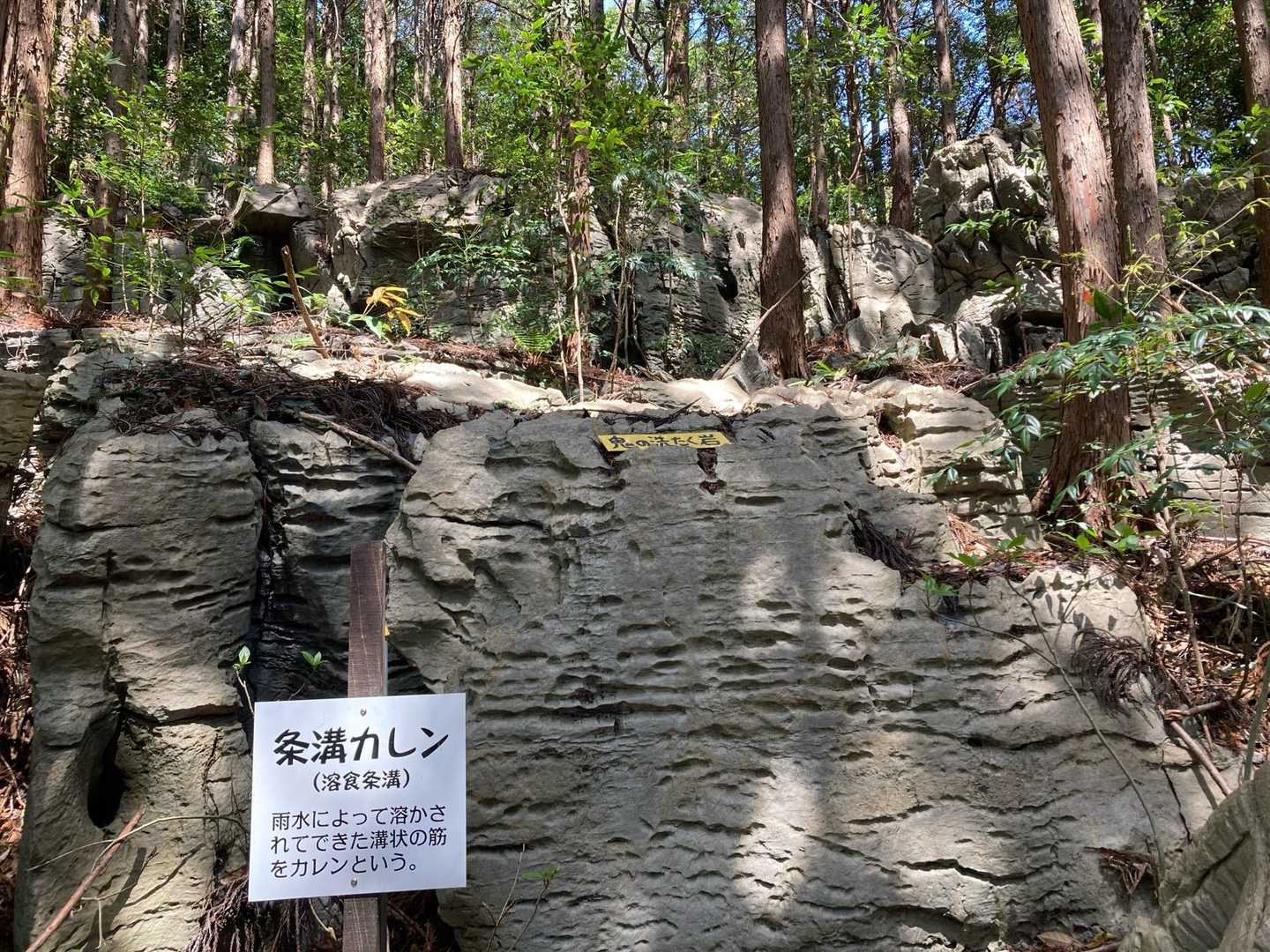 三合山266m・竜ヶ石山359m、浜松の山2️⃣ / アルペンローゼのハイキングデータ | YAMAP / ヤマップ
