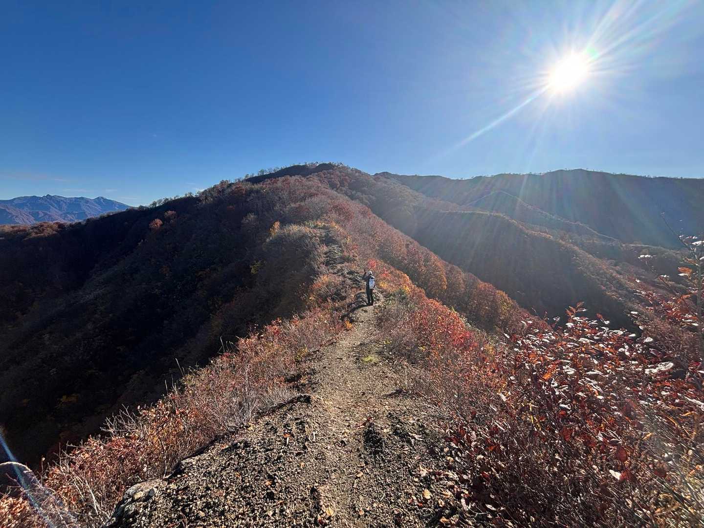 魚沼アルプス周回 / ペコしさんの御岳山・駒見山の活動データ | YAMAP / ヤマップ