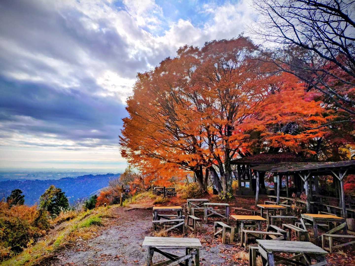 高尾→陣馬 / おっちゅさんの高尾山・陣馬山・景信山の活動データ | YAMAP / ヤマップ