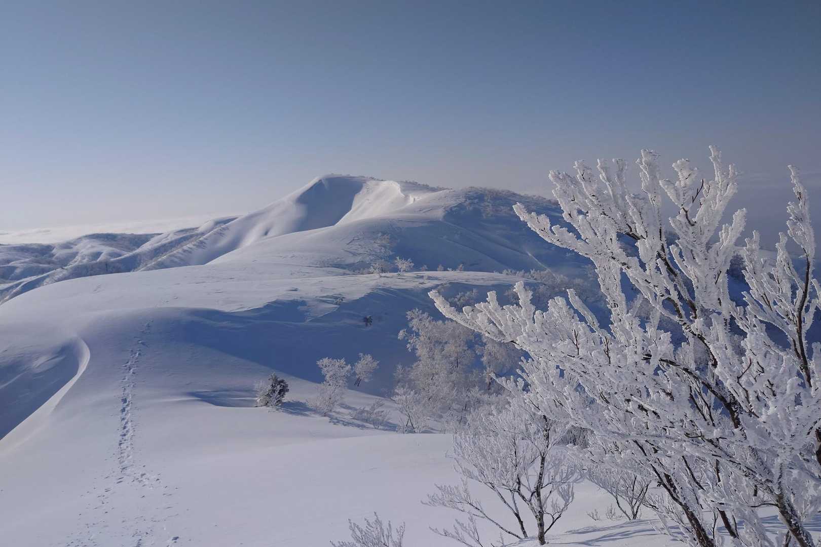 金剛堂山・奥座峰・そばかど峰 / コウジンさんの金剛堂山の活動データ | YAMAP / ヤマップ