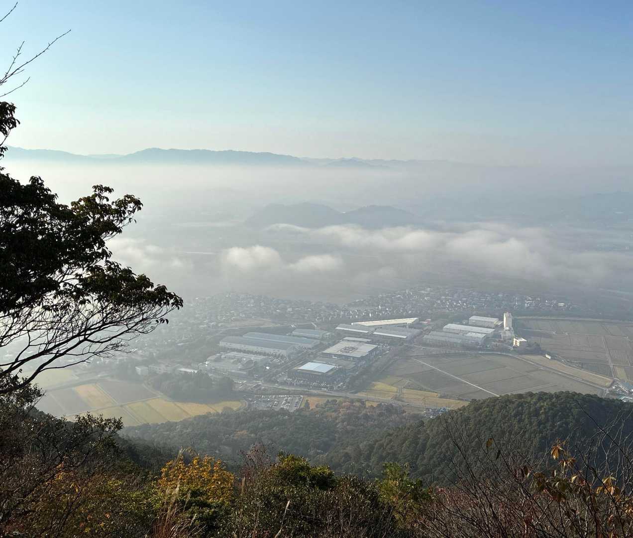 アフタヌーンティー🫖前に 三上山（近江富士） / Raraさんの三上山・鏡山の活動データ | YAMAP / ヤマップ