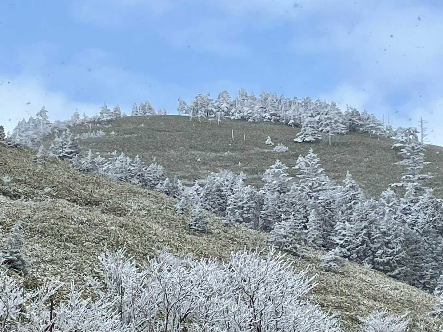富士見台高原 2026 1.2 / motovskyさんの恵那山・大判山・神坂山の活動データ | YAMAP / ヤマップ