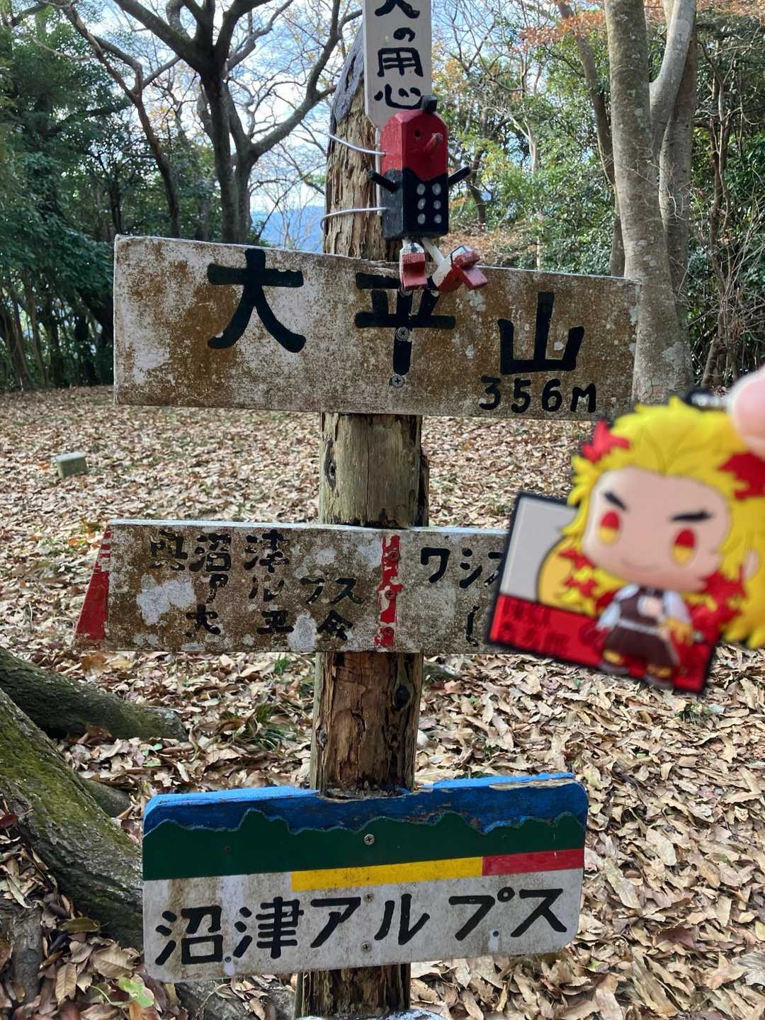 志下山・小鷲頭山・鷲頭山・大平山 / 杏0510さんの沼津アルプス・鷲頭山・香貫山の活動データ | YAMAP / ヤマップ