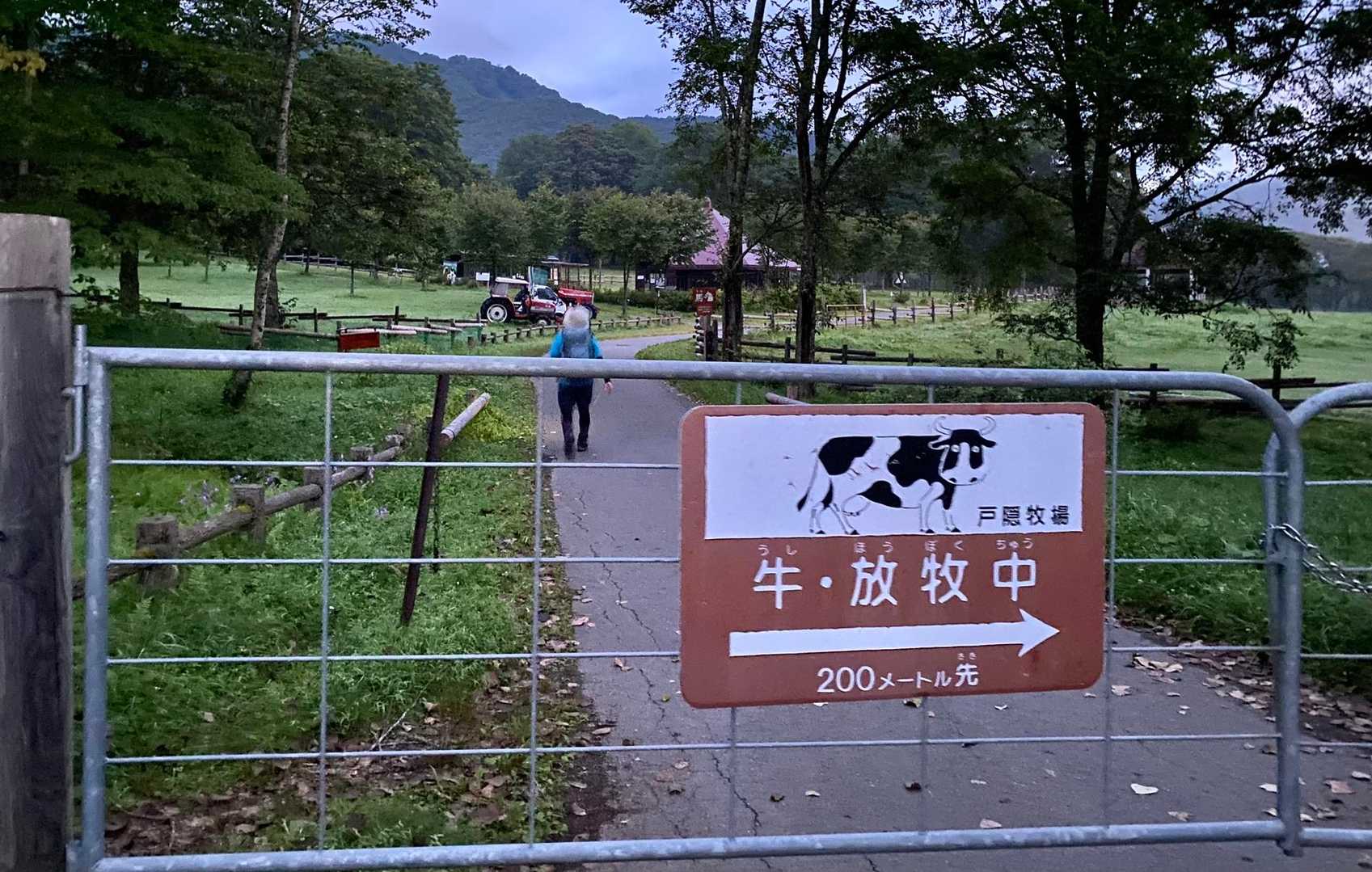 蒸し暑し🥵高妻山 山は秋の気配 / mtakoさんの高妻山・戸隠山の活動データ | YAMAP / ヤマップ