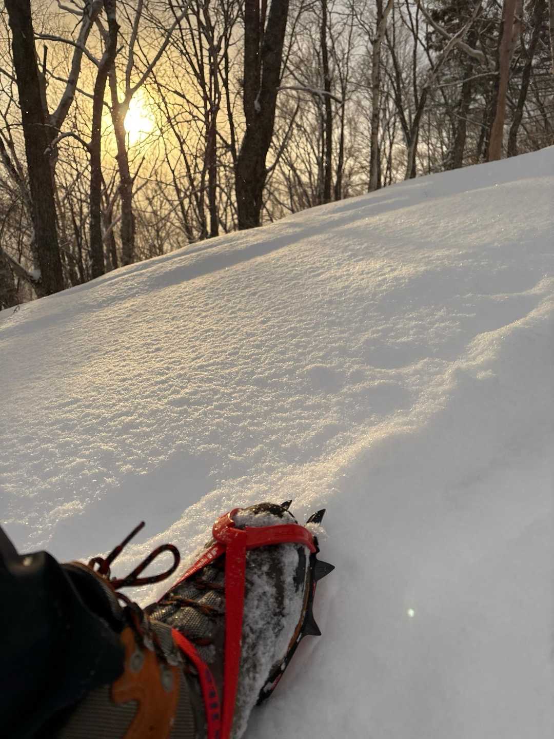 仁頃山（12本爪アイゼン練習） / kazuさんの仁頃山の活動データ | YAMAP / ヤマップ