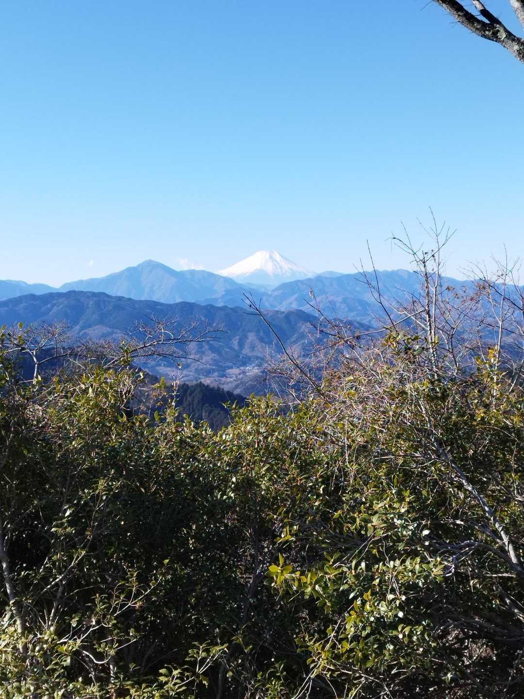 高尾山 / horitakaさんの高尾山・陣馬山・景信山の活動データ | YAMAP / ヤマップ