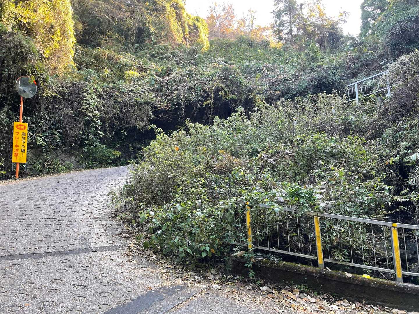 暗峠の最大勾配ポイント / みかさんの生駒山・神津嶽・大原山の活動データ | YAMAP / ヤマップ