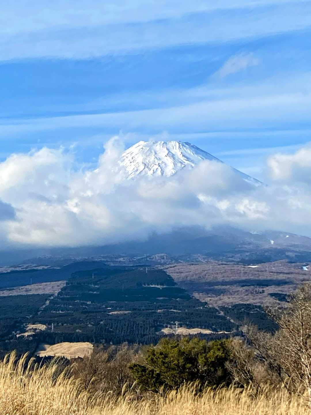 越前岳 / takaさんのFUJISAN LONG TRAIL（愛鷹・富士南麓エリア SOUTH）の活動データ | YAMAP / ヤマップ