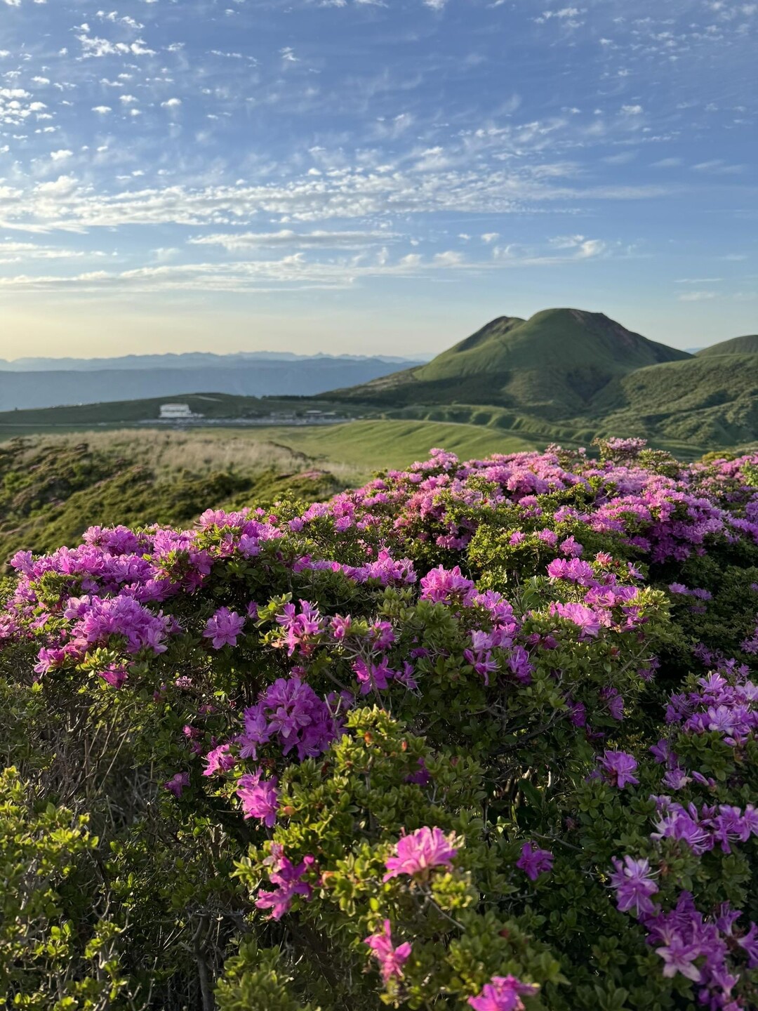 夕駆け！MK🌸🌸in烏帽子岳 / muddyさんの阿蘇山・高岳・根子岳の活動データ | YAMAP / ヤマップ
